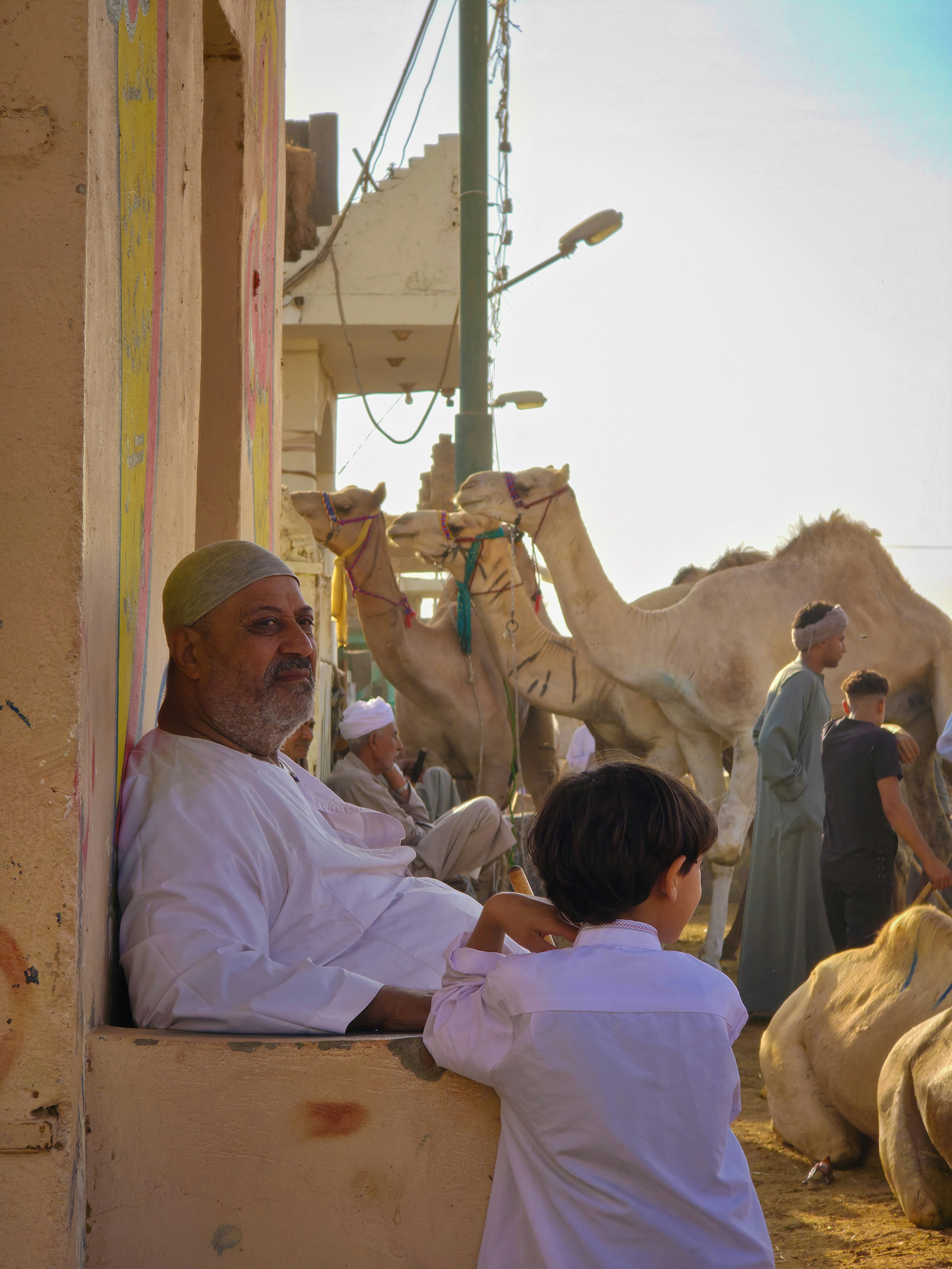 Elderly man and boy watch camels at market.