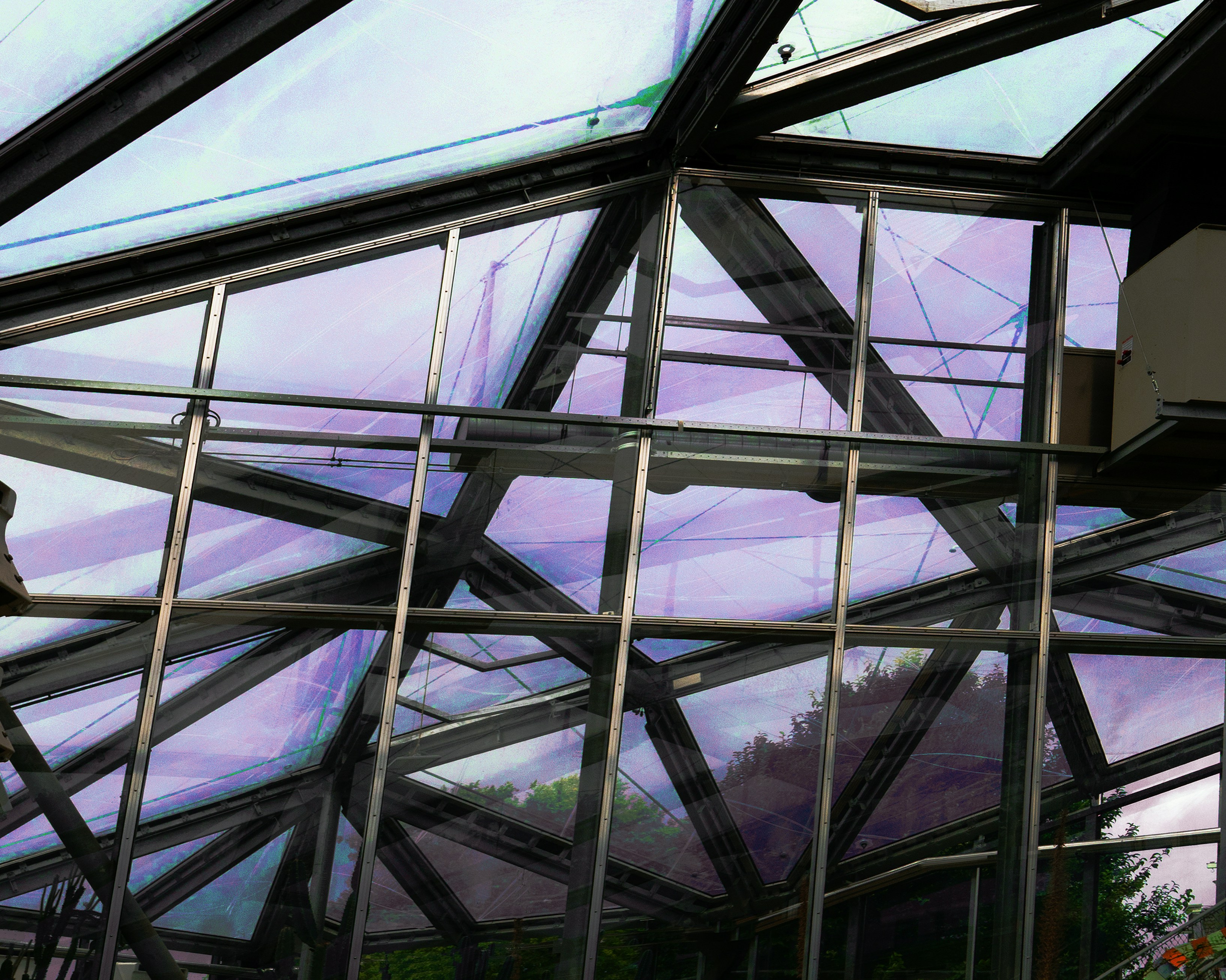 Photo of the roof construction and window pattern of the recent built greenhouse in the Hortus Botanicus of Amsterdam. | Modern greenhouse structure with purple tinted glass panels.