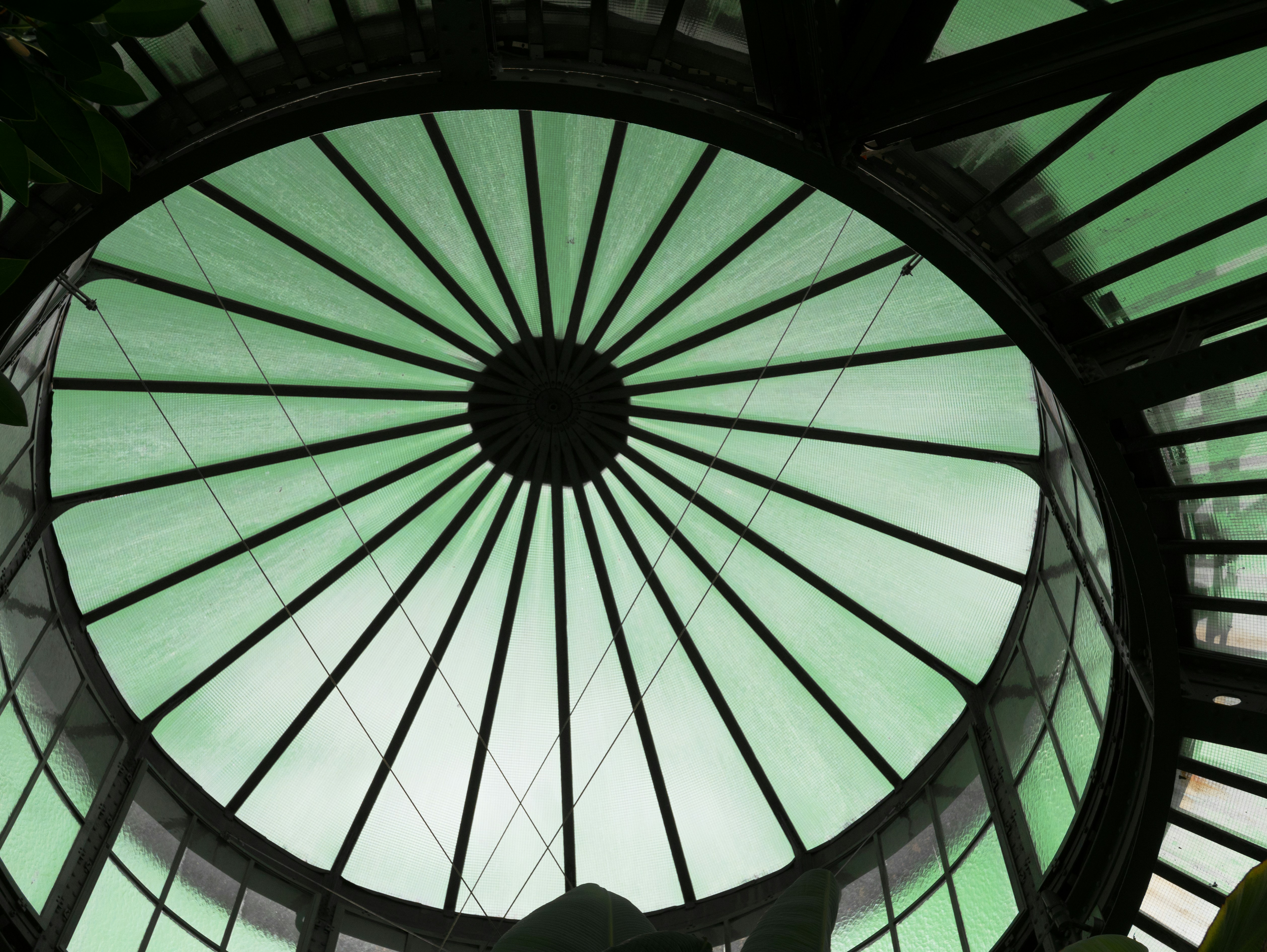 Glass roof design of the old greenhouse in the botanical garden of Amsterdam city. | Green glass dome with radial pattern