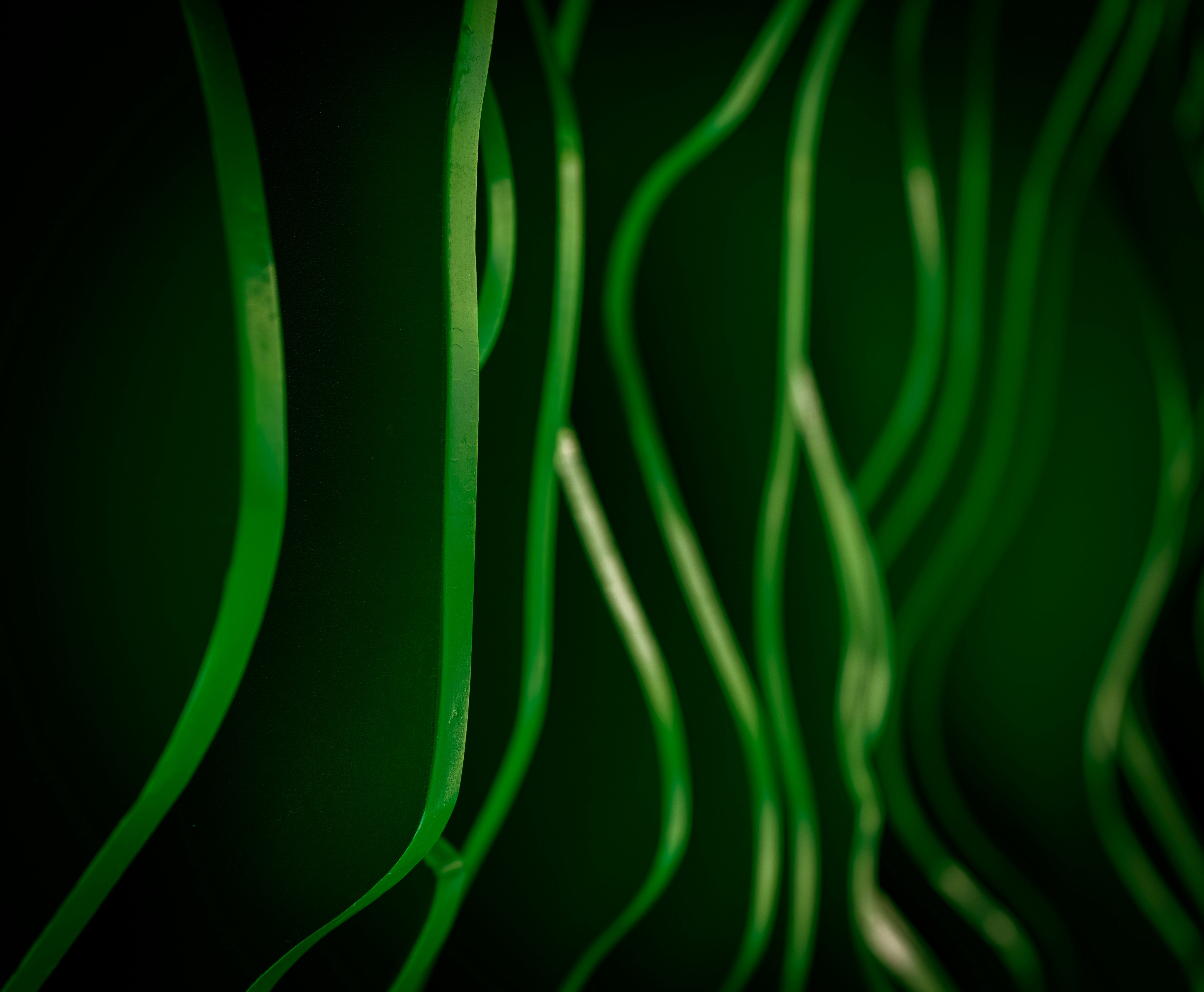 Abstract green strands against dark background photo – Free Background ...