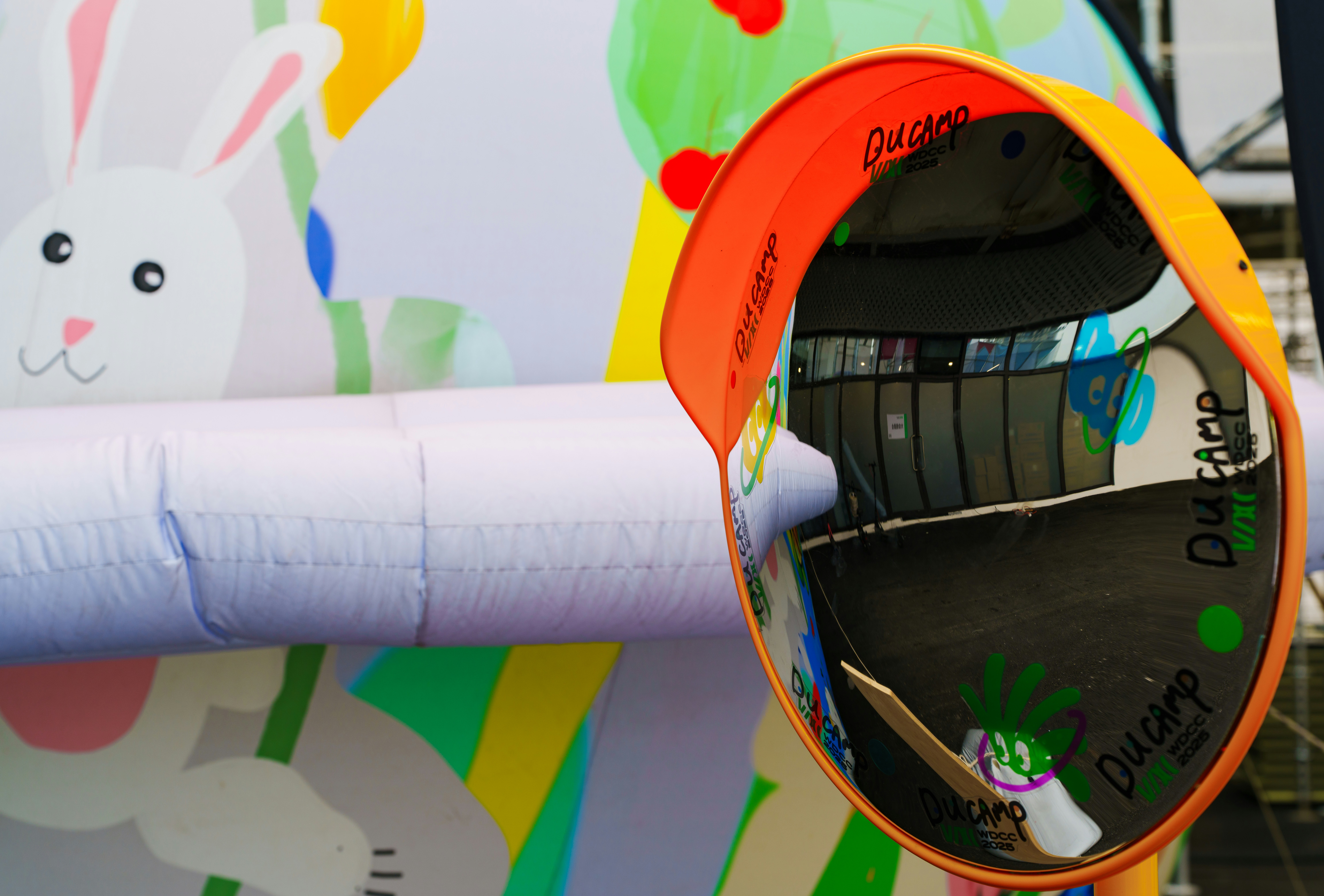 Whimsical Reflections: A Playful Encounter