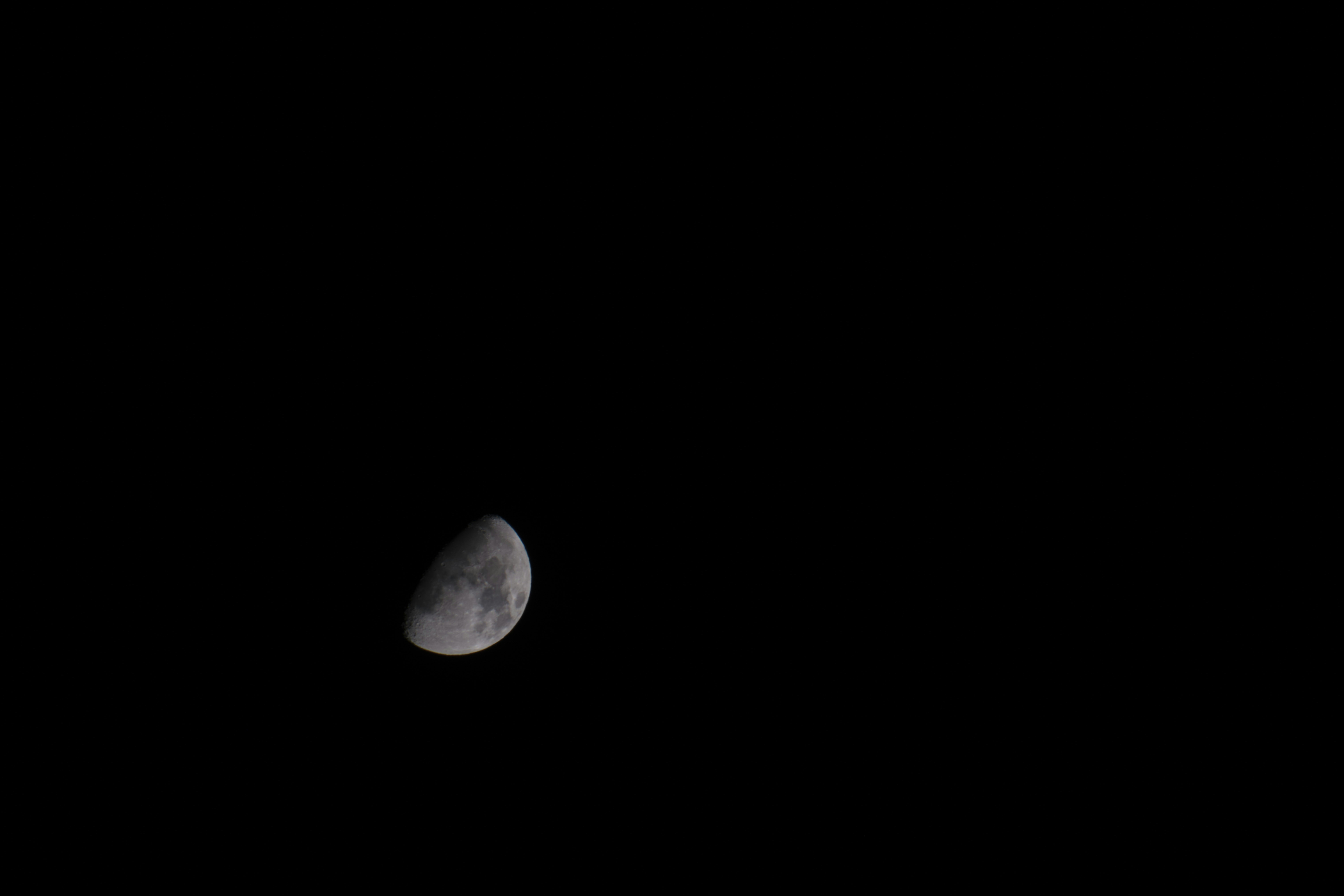 Lunar Whisper: The Half-Moon's Subtle Glow