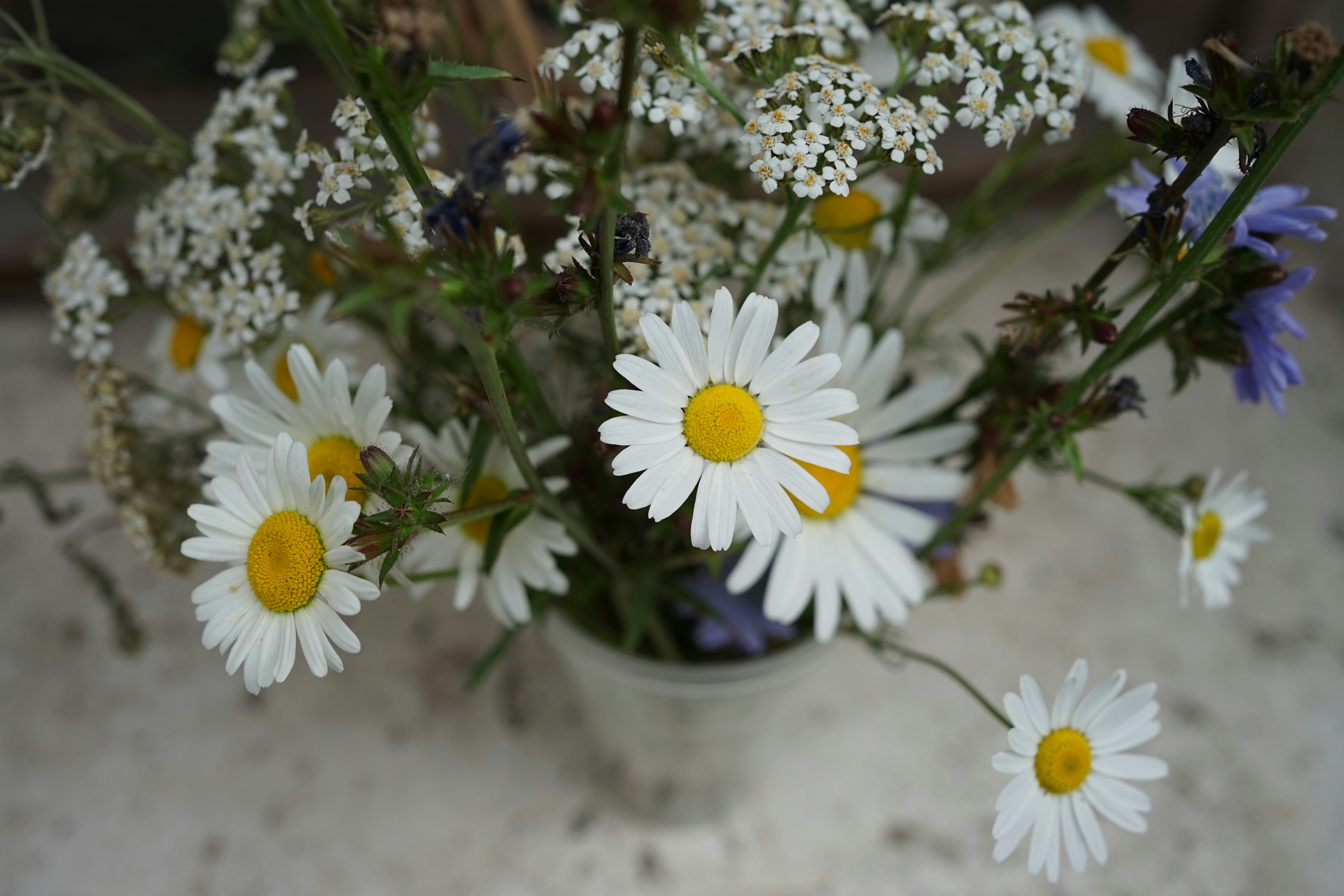 Autumn bouquet | Close-up of a bouquet of daisies and wildflowers.