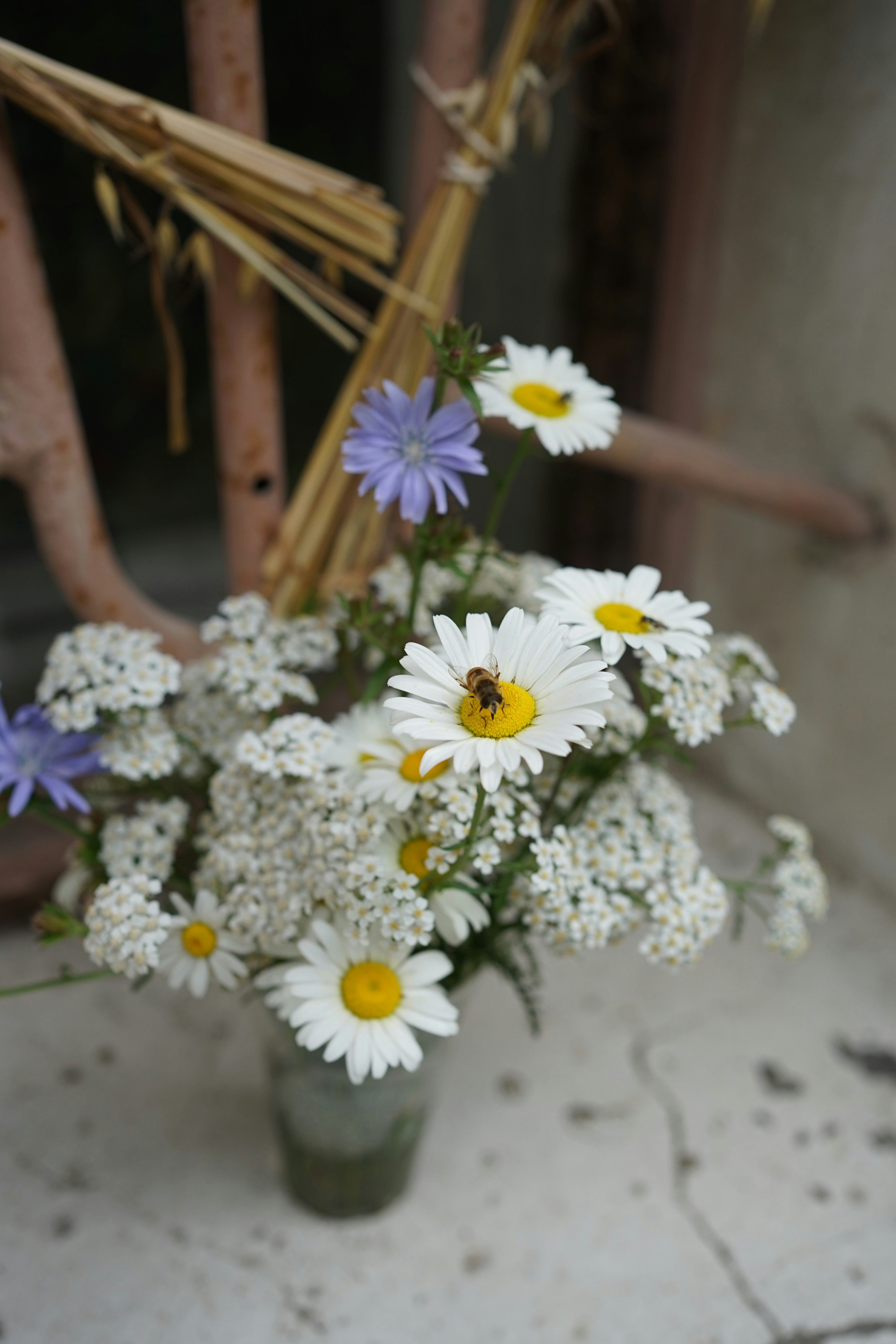 Whispers of Nature: A Floral Gathering