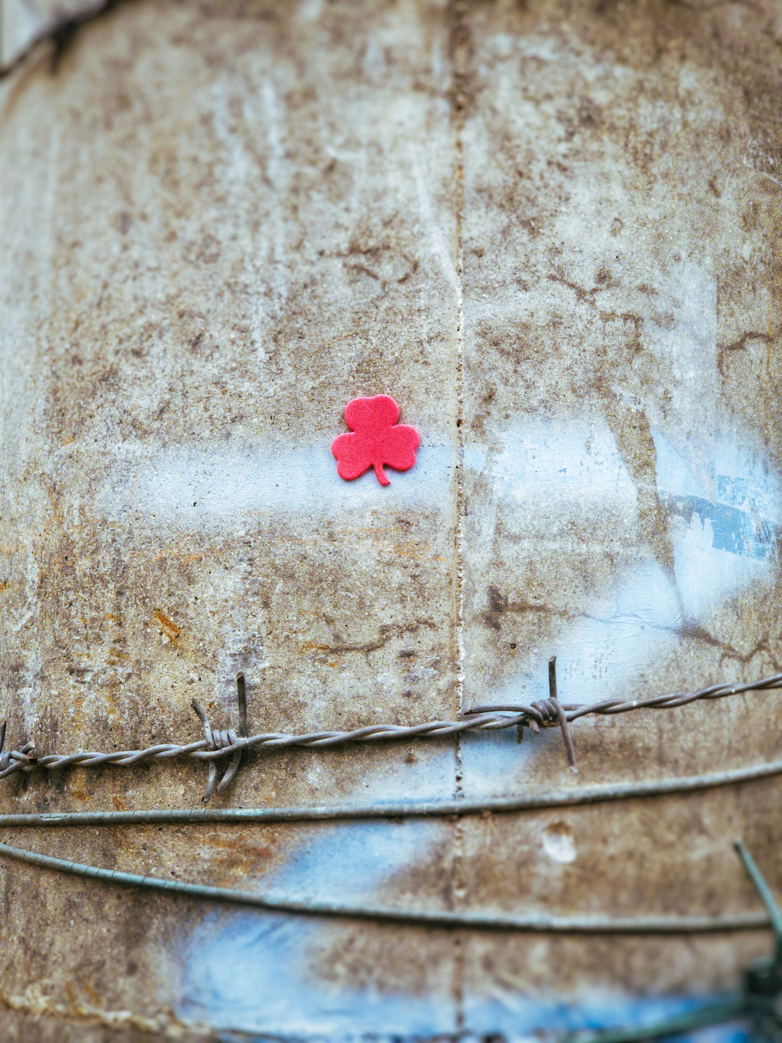 Red clover sticker on weathered metal with barbed wire.