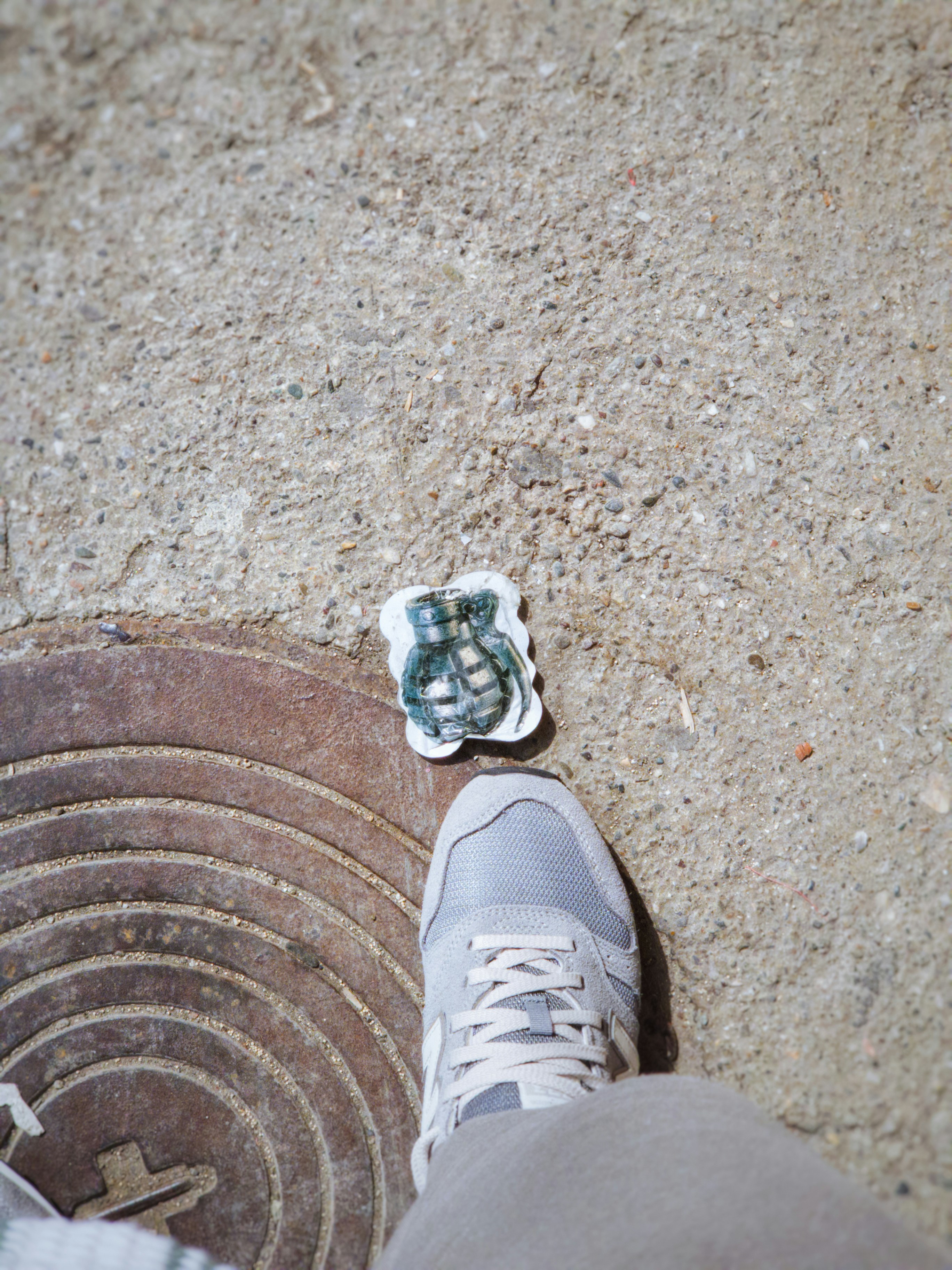 A Curious Encounter with a Turtle Sticker