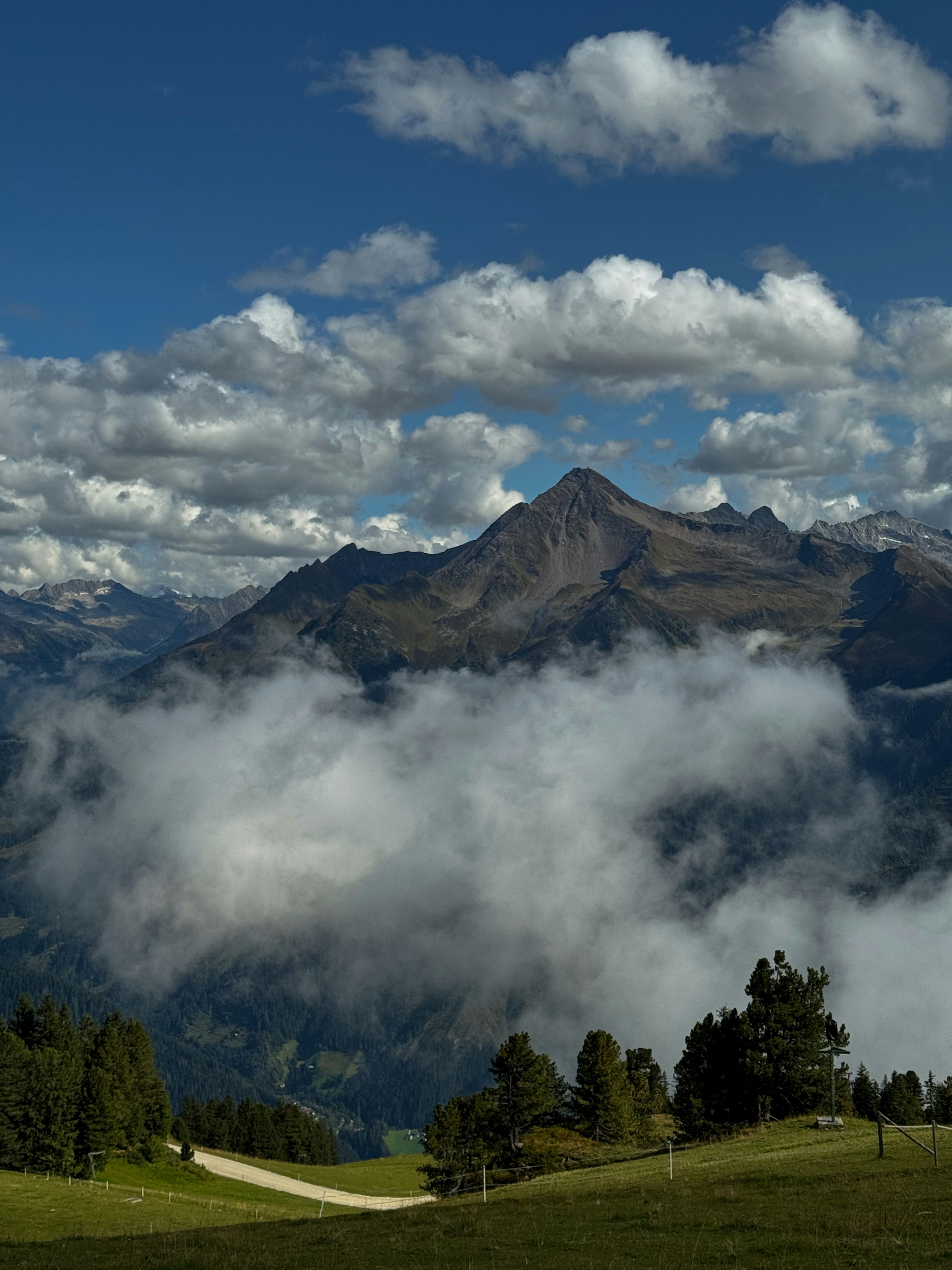 Whispers of the Alpine Majesty