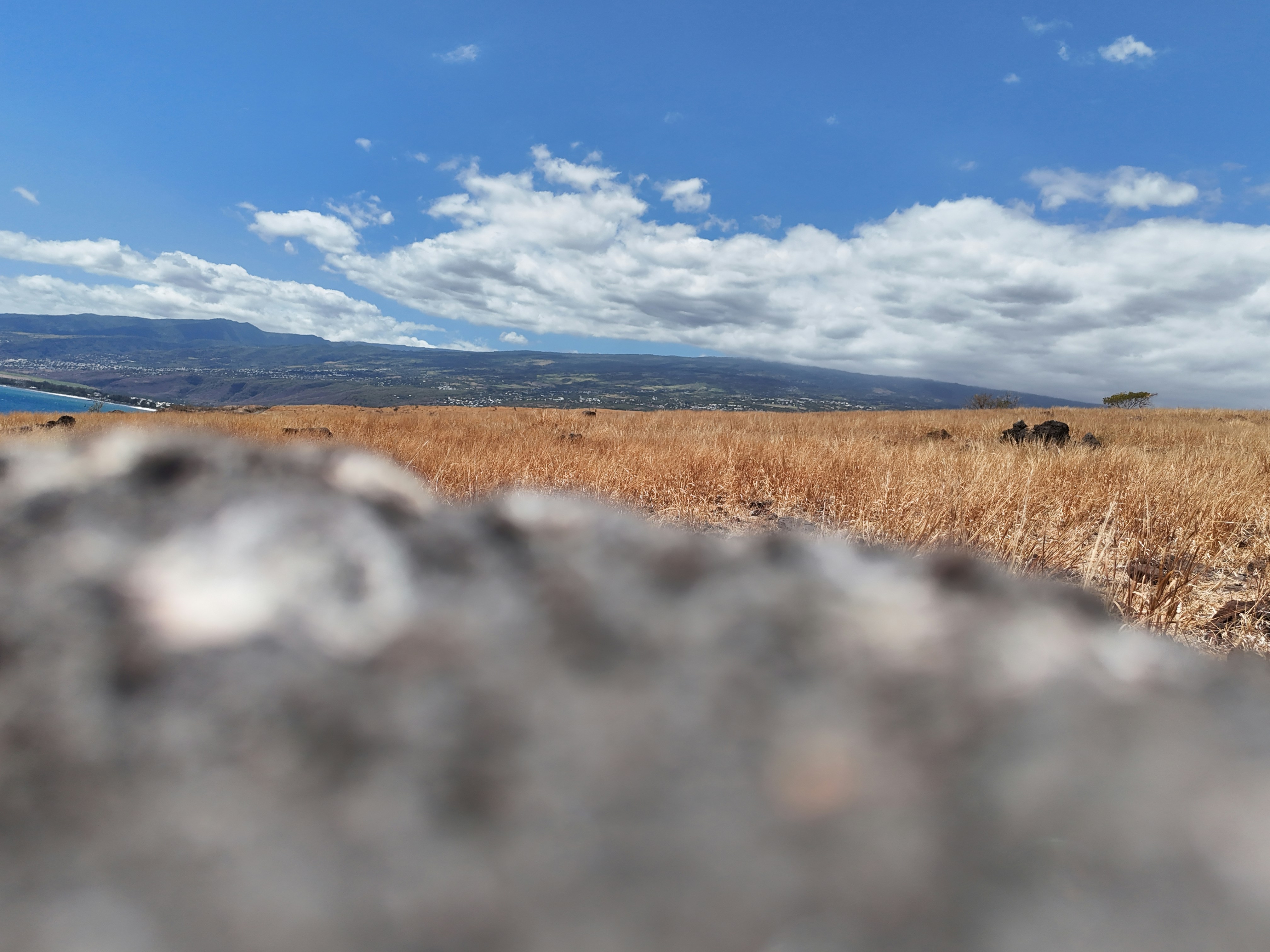Dry grass field with distant mountains and blue sky