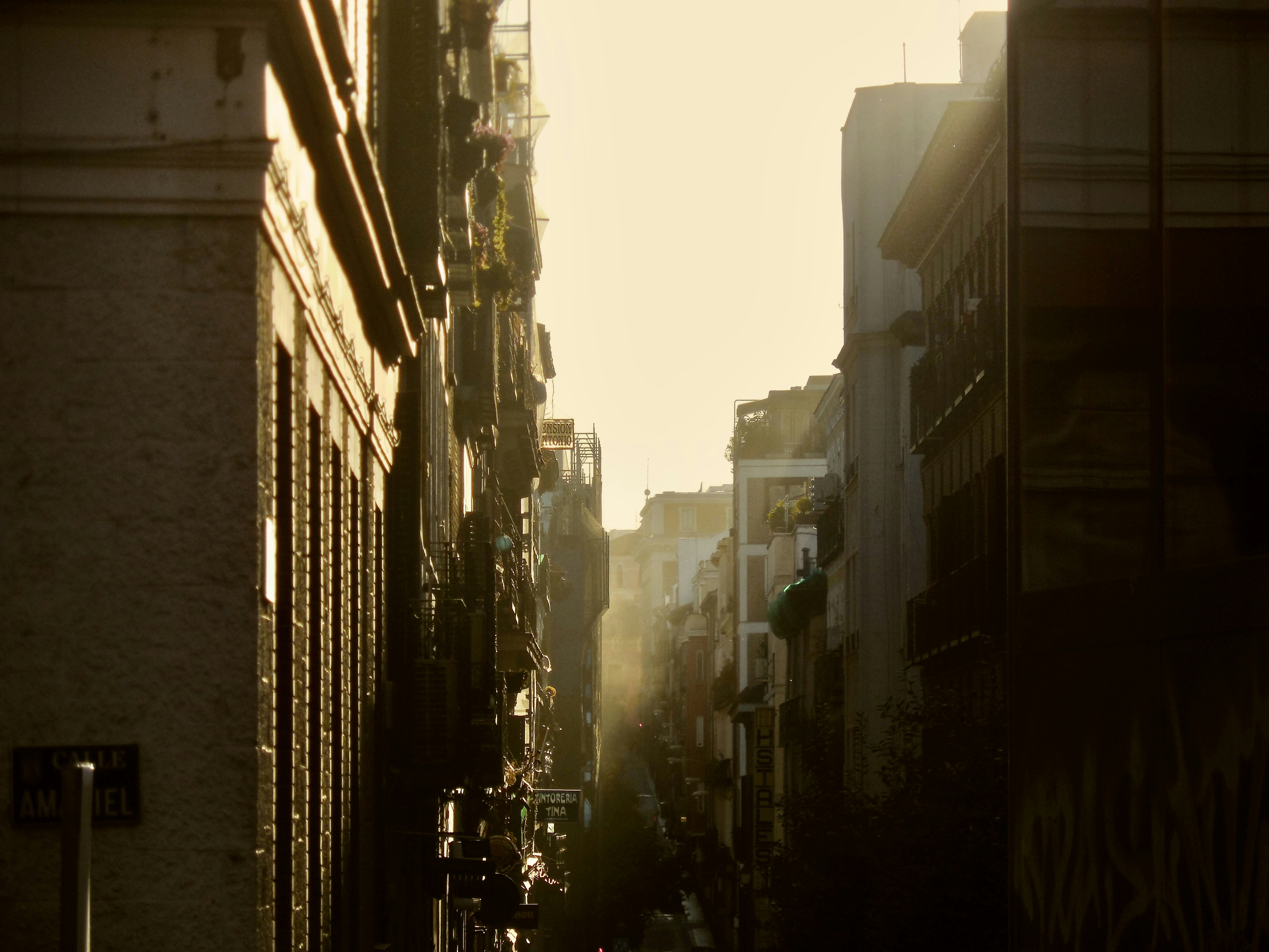Morning rays of sun in a small street in Malasana. | Sunlight streams down a narrow european street.