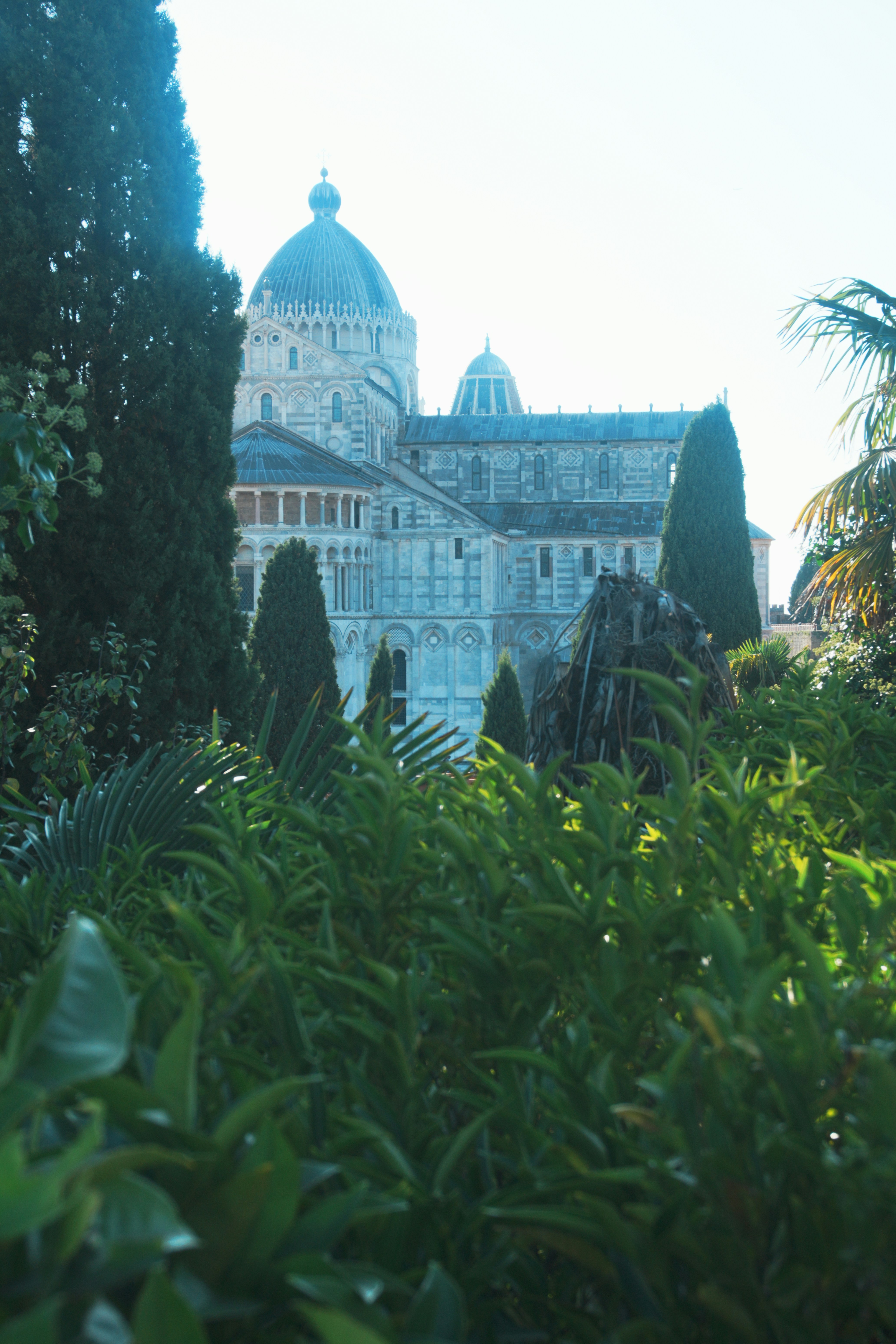 Whispers of History Amidst Lush Greenery