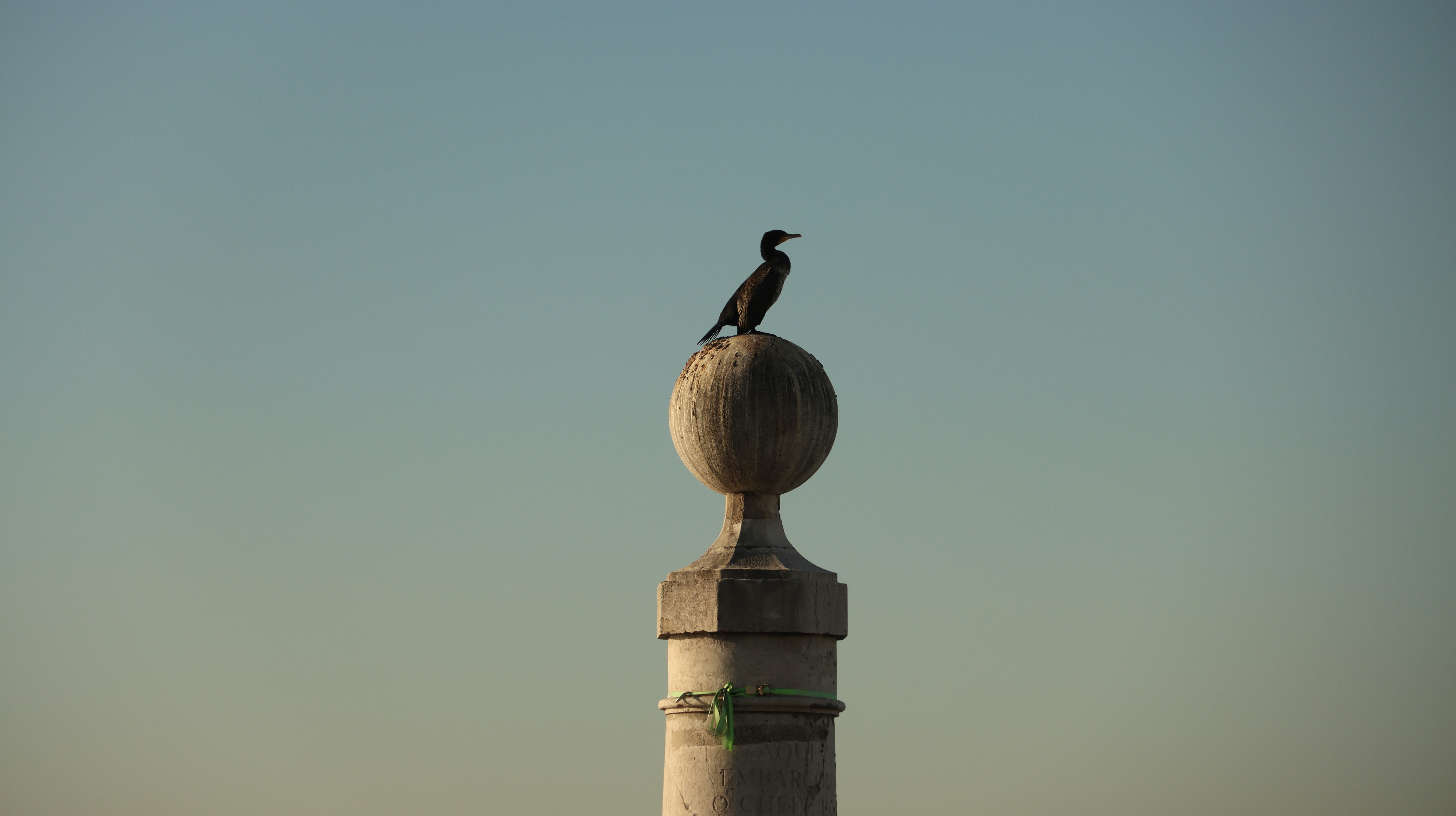 Sentinel of the Horizon