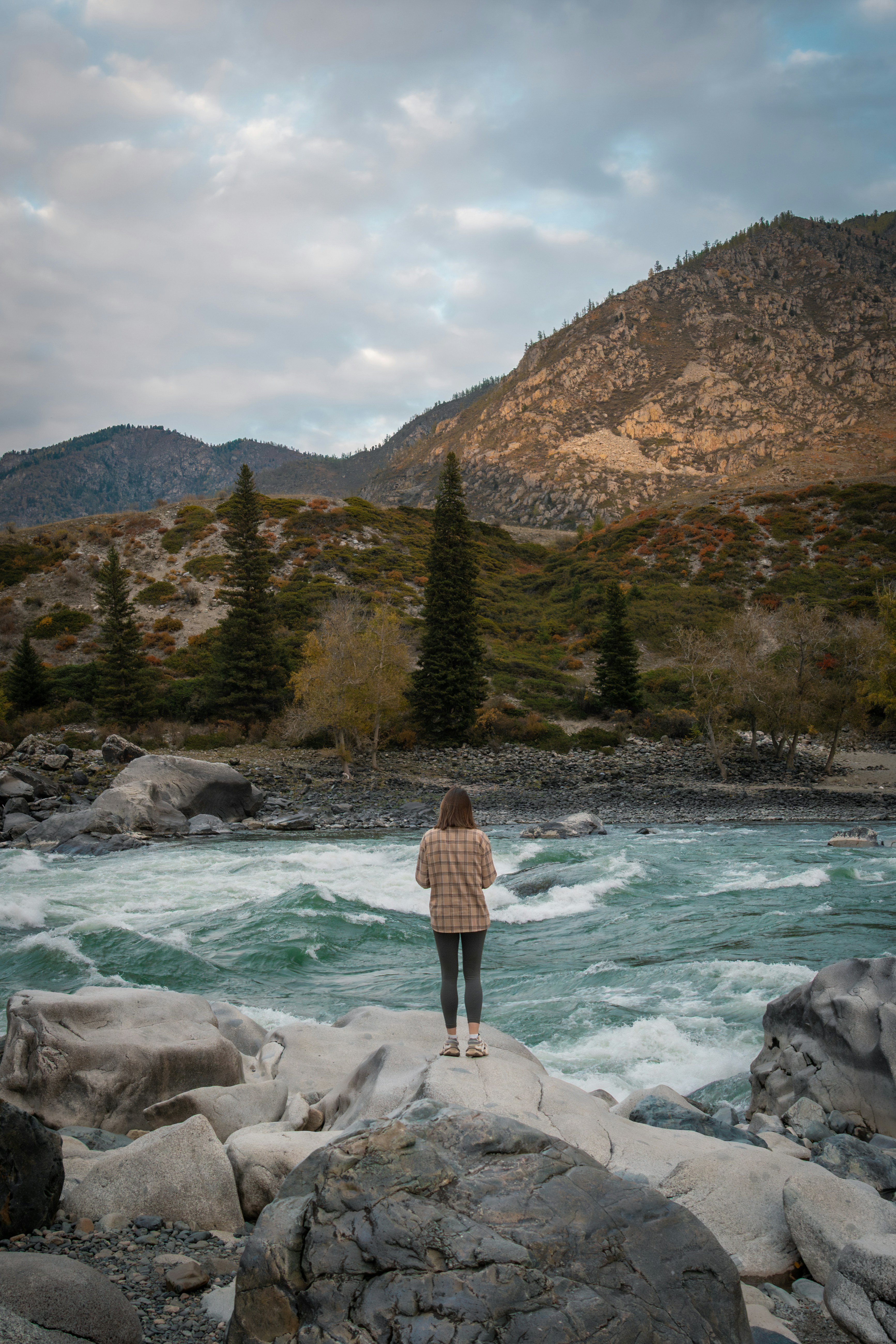Riverbank Reverie: A Quiet Moment on the Rocks