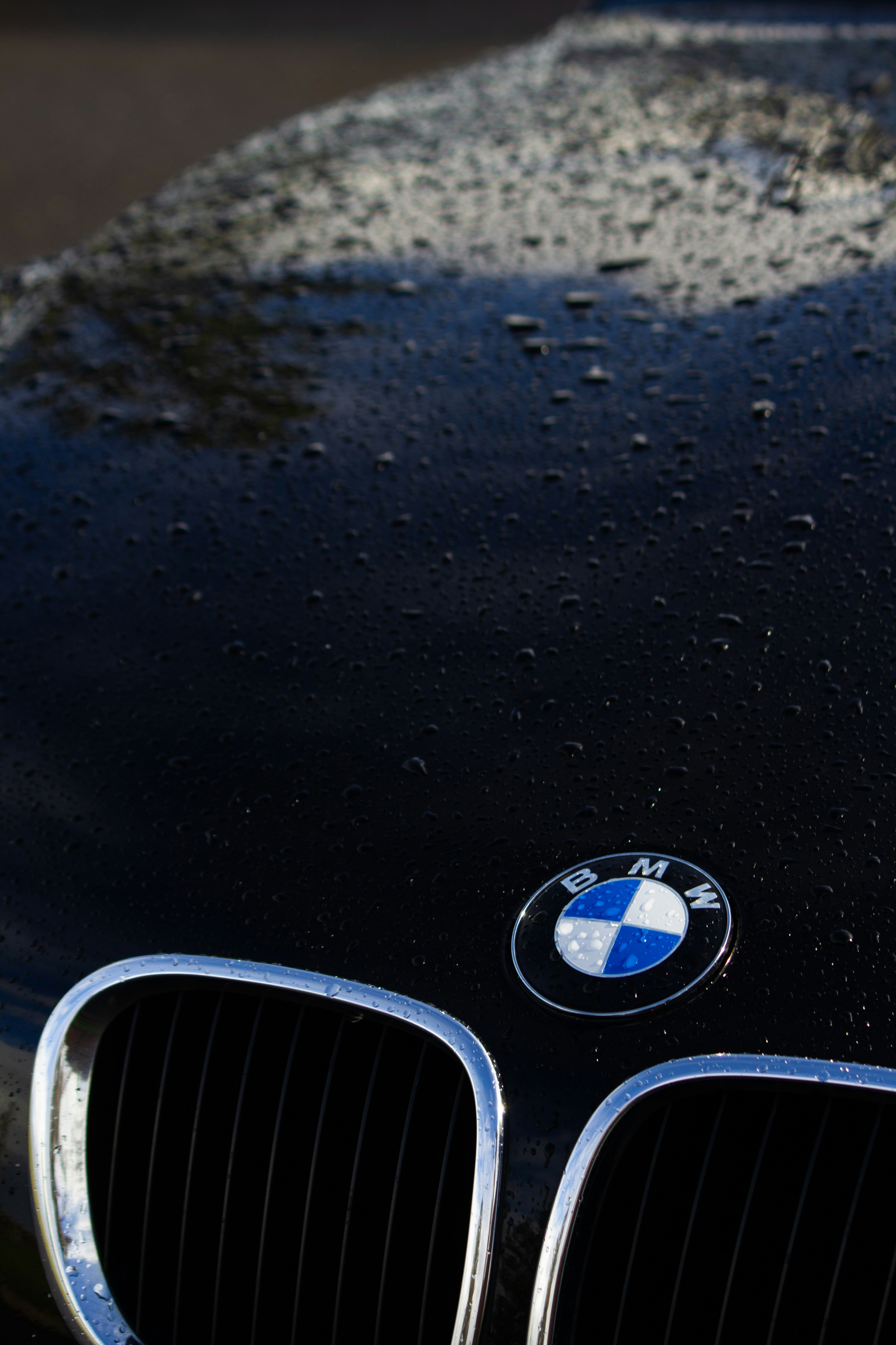 Reflections of Precision: The BMW Emblem in Focus