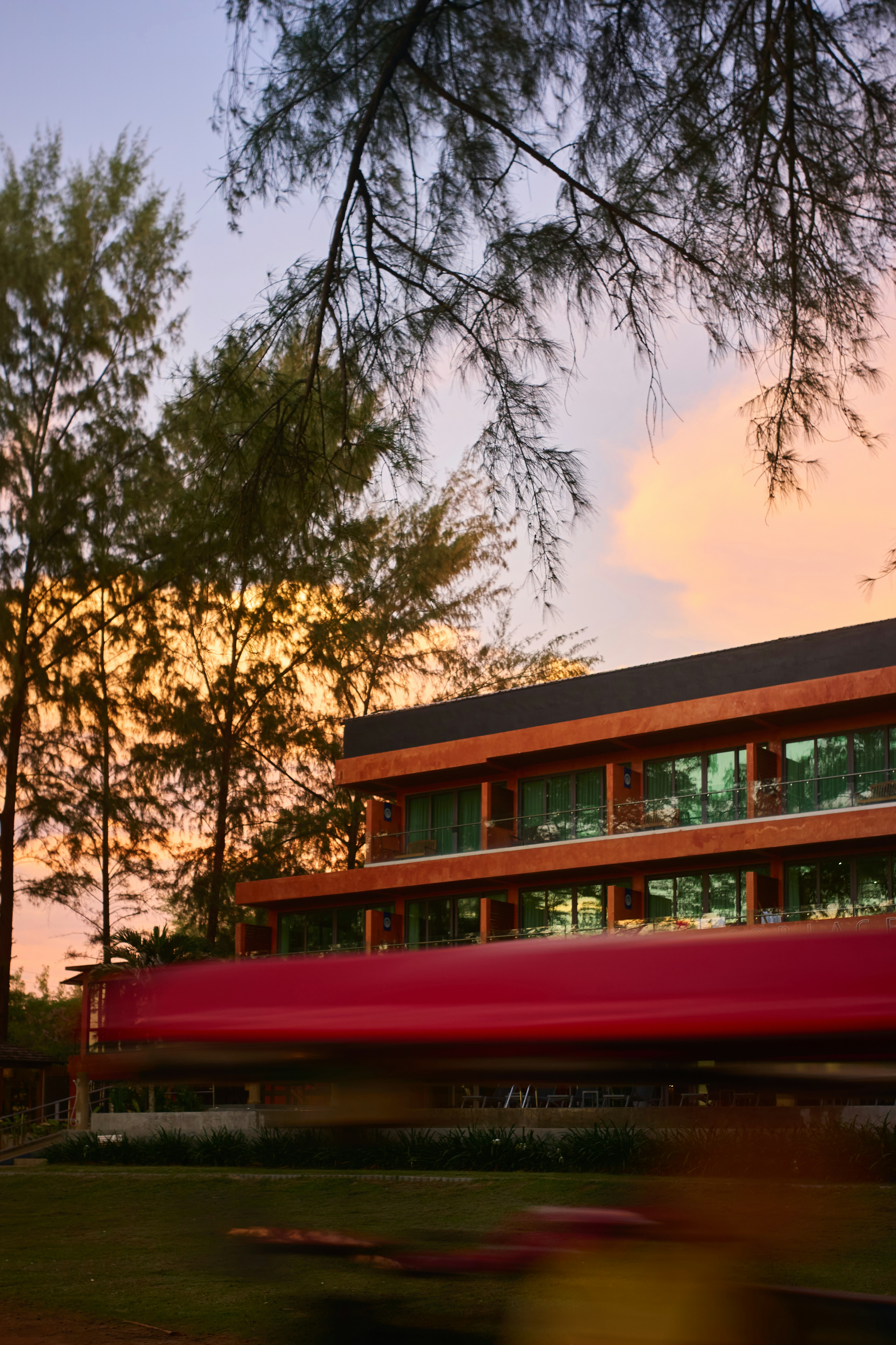 Modern building surrounded by trees at sunset