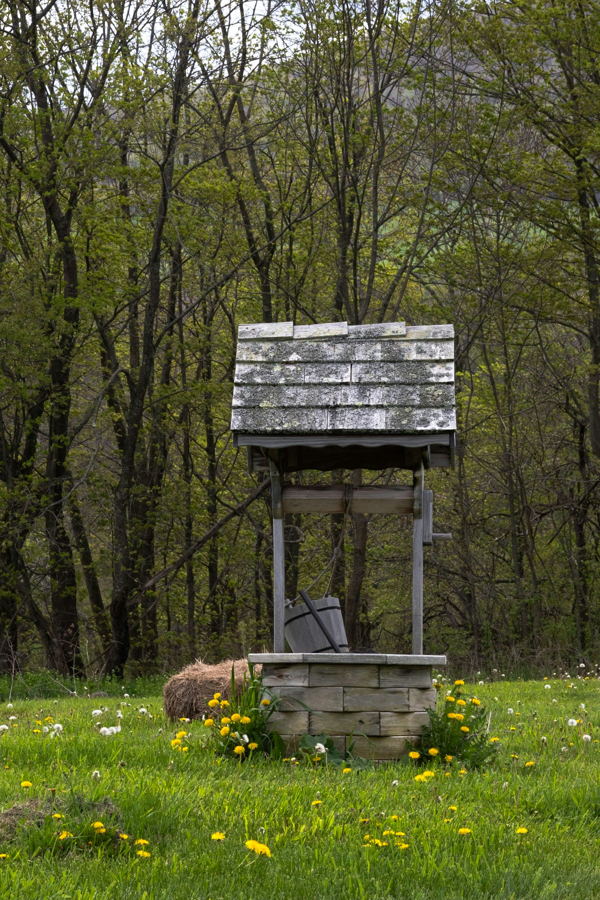Trip to upstate. | Old wishing well in a grassy field with trees.