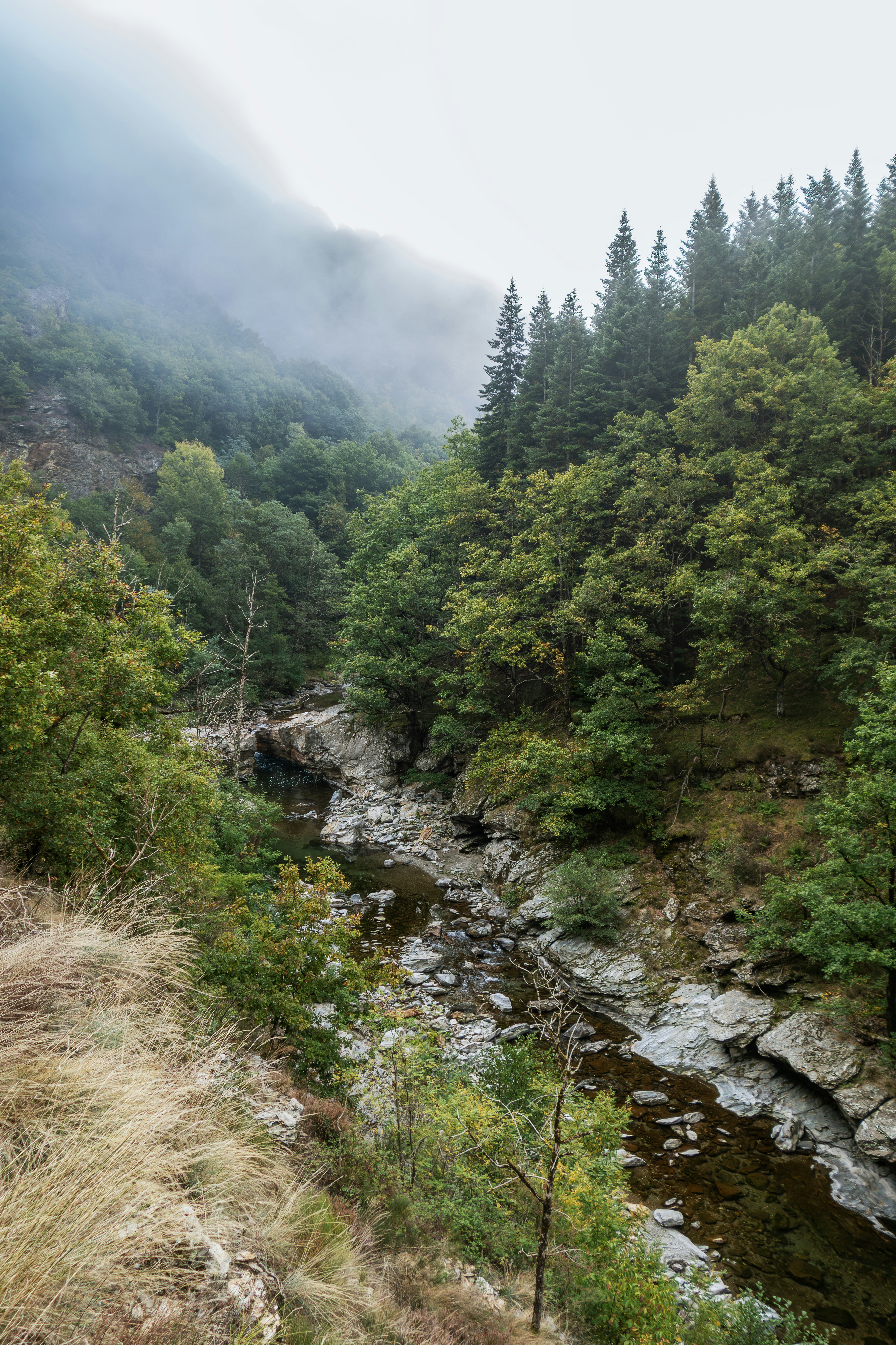 Whispers of the Misty Valley