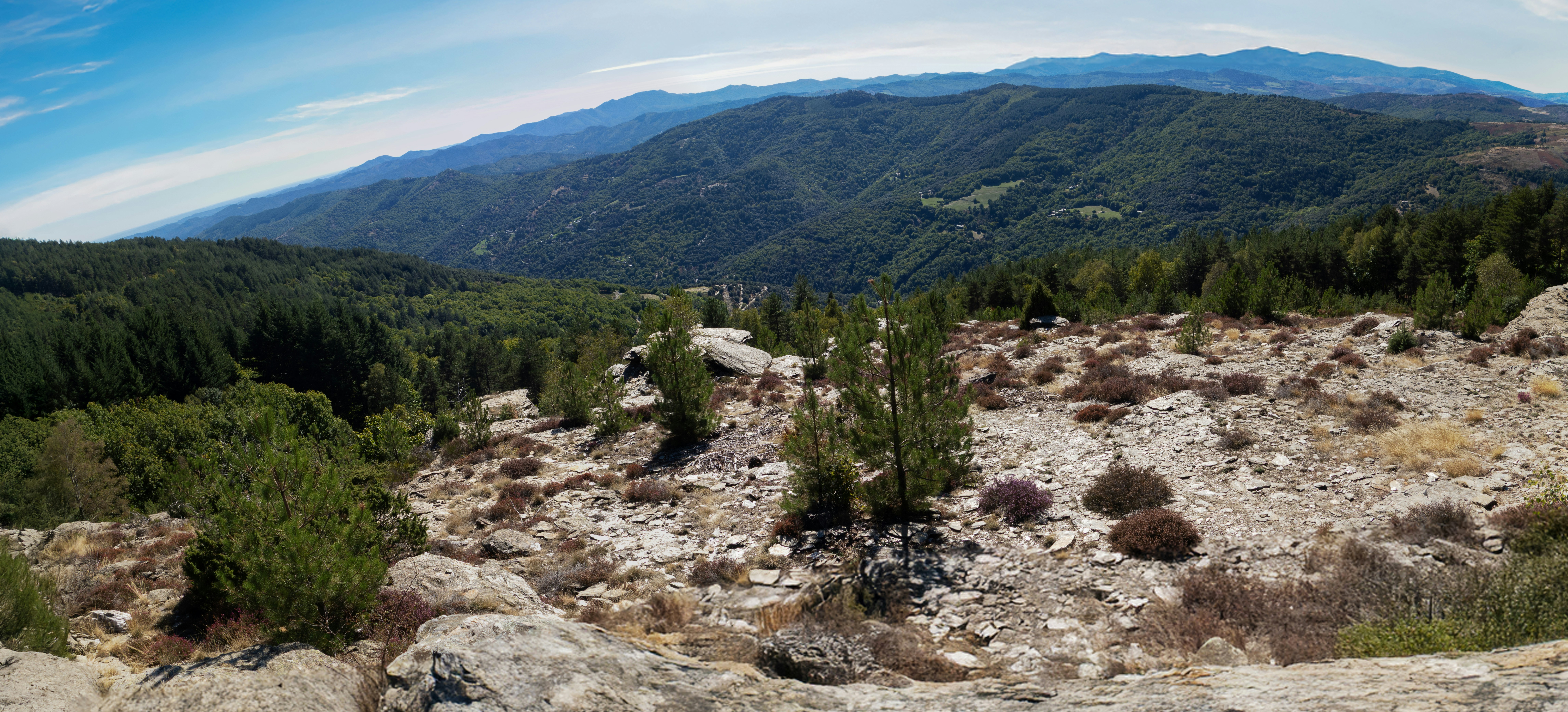 The Serene Overlook: Nature's Palette Unfolds