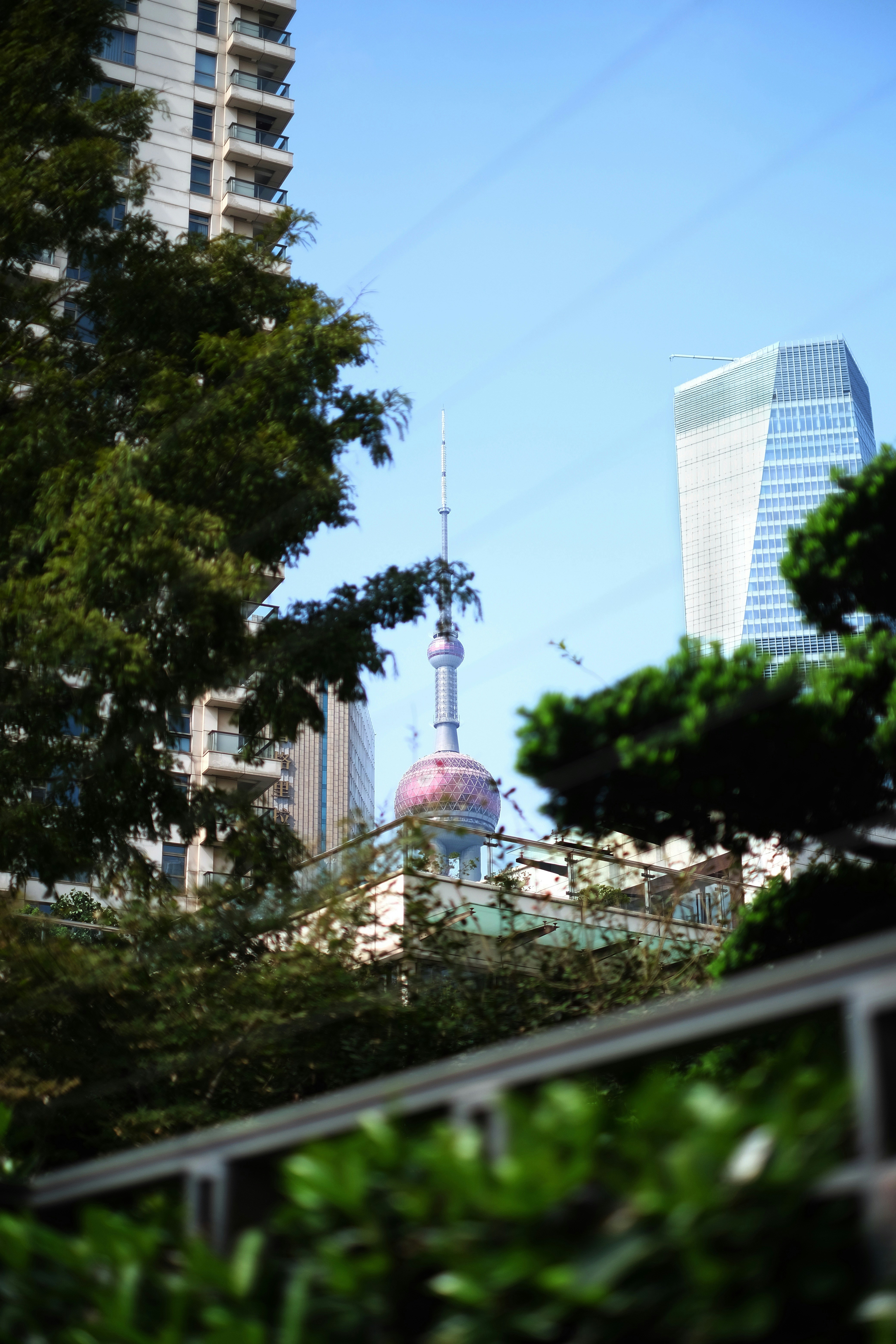 Urban Oasis: The Pearl Amidst the Concrete Jungle