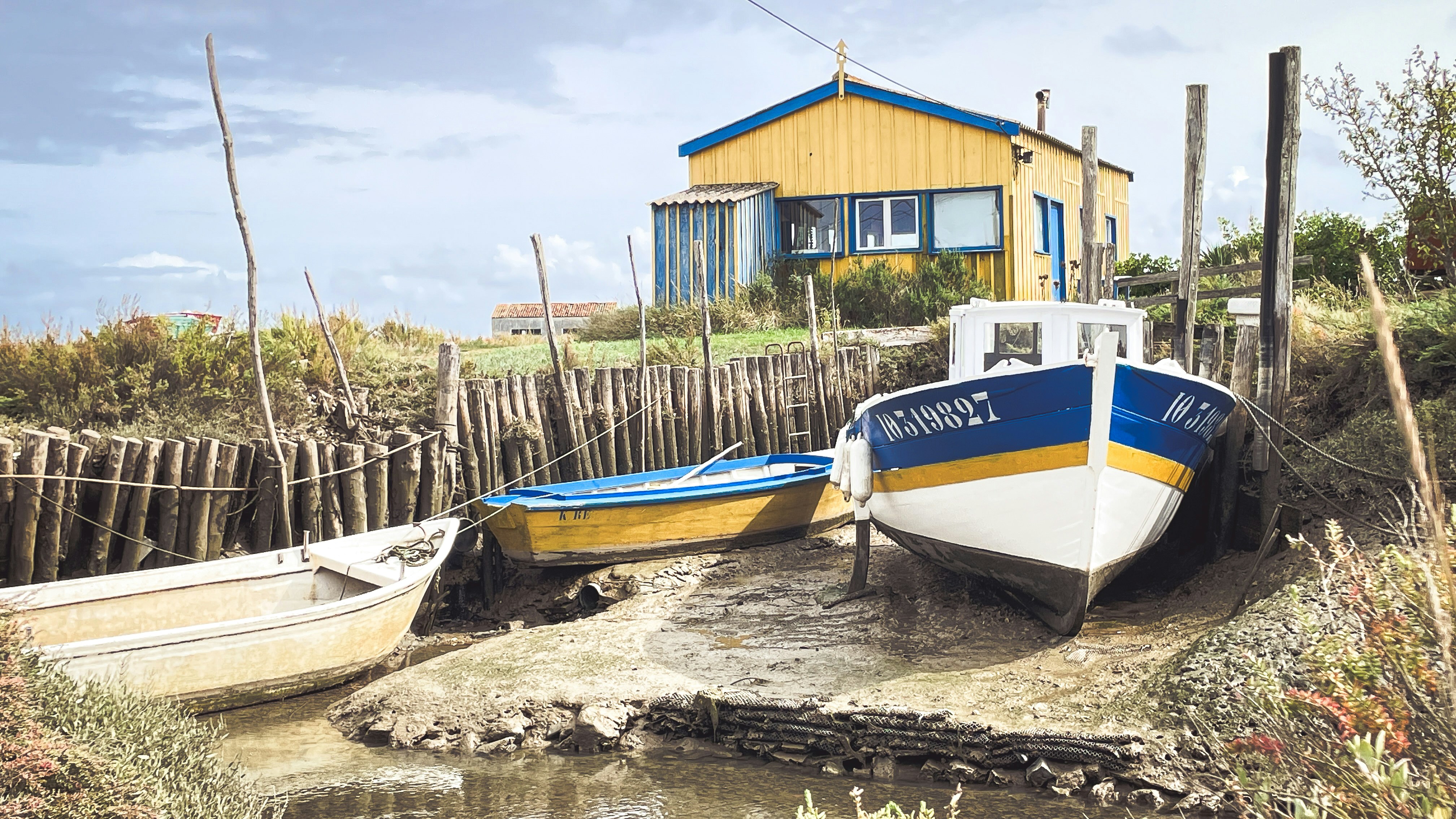 Harbor Tranquility: A Coastal Retreat