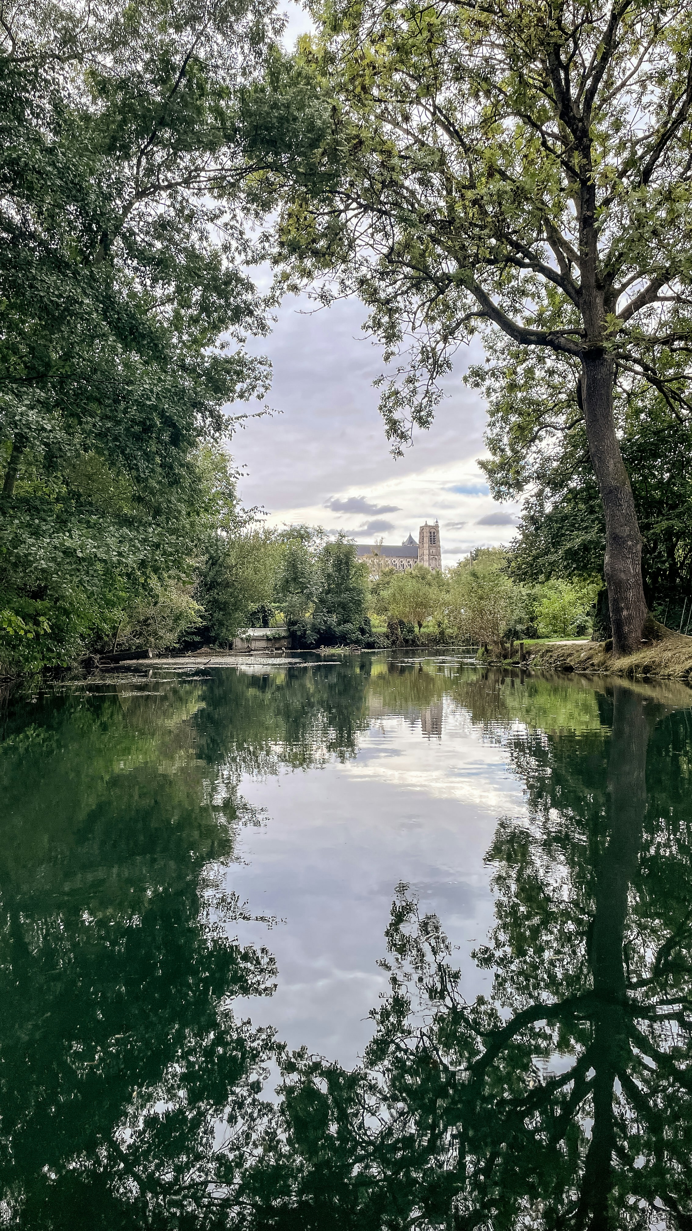 Reflections of Serenity: Nature's Embrace