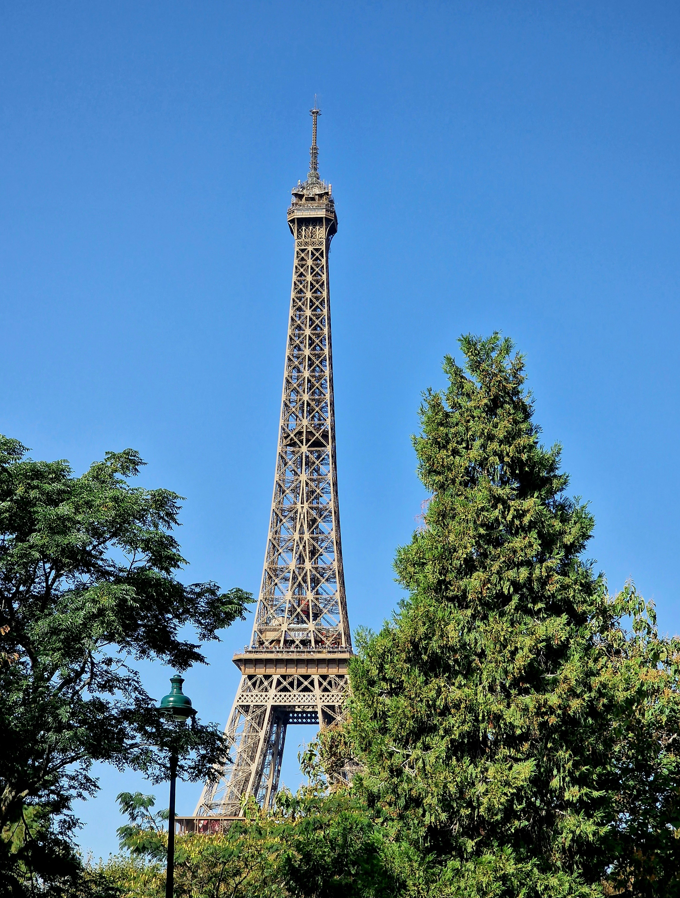 Paris Tour Eiffel | The eiffel tower stands tall behind green trees.