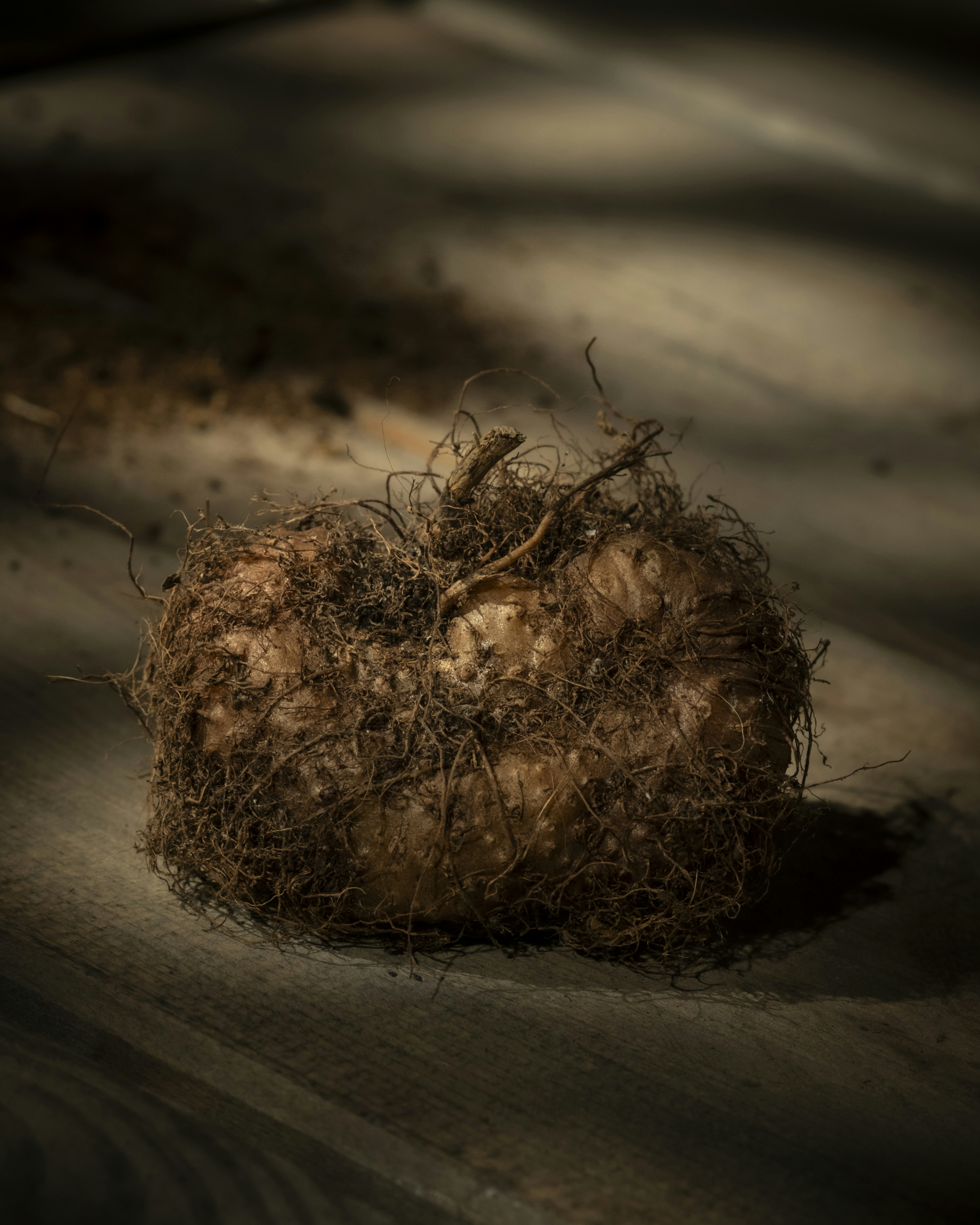 The Earthy Essence of Nature's Harvest