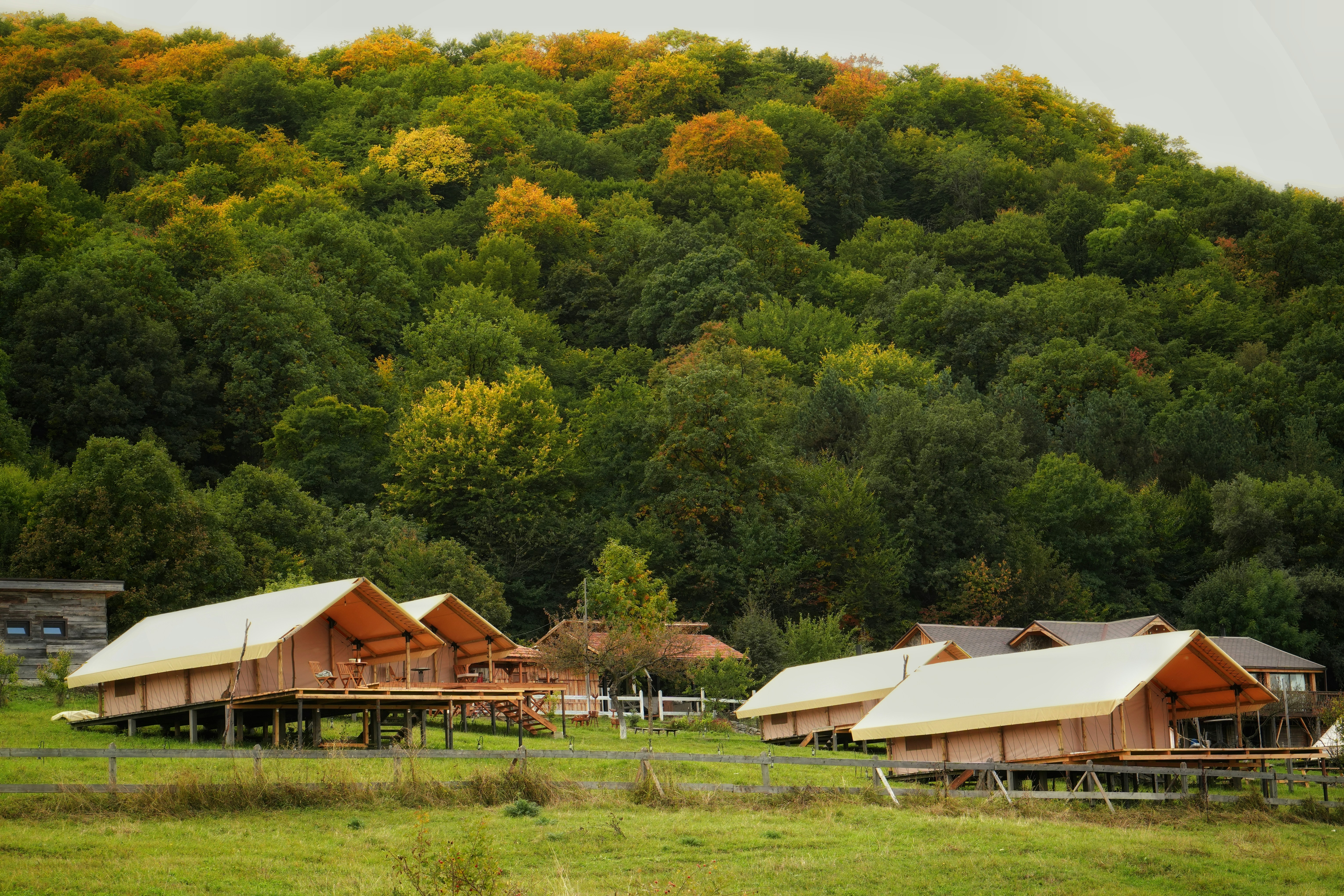 Glamping tents nestled at the base of a forested hill.
