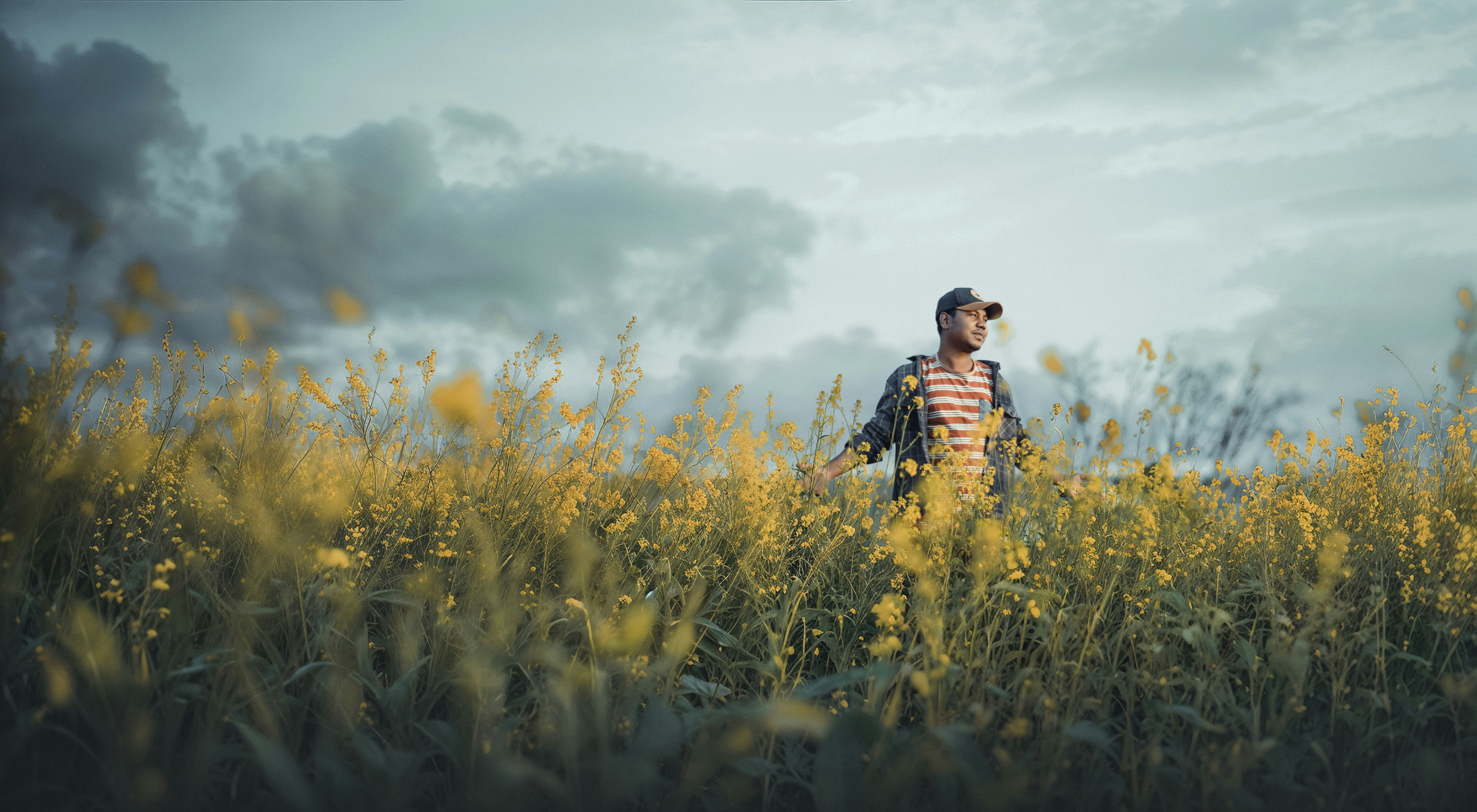Man walking through a field of yellow flowers