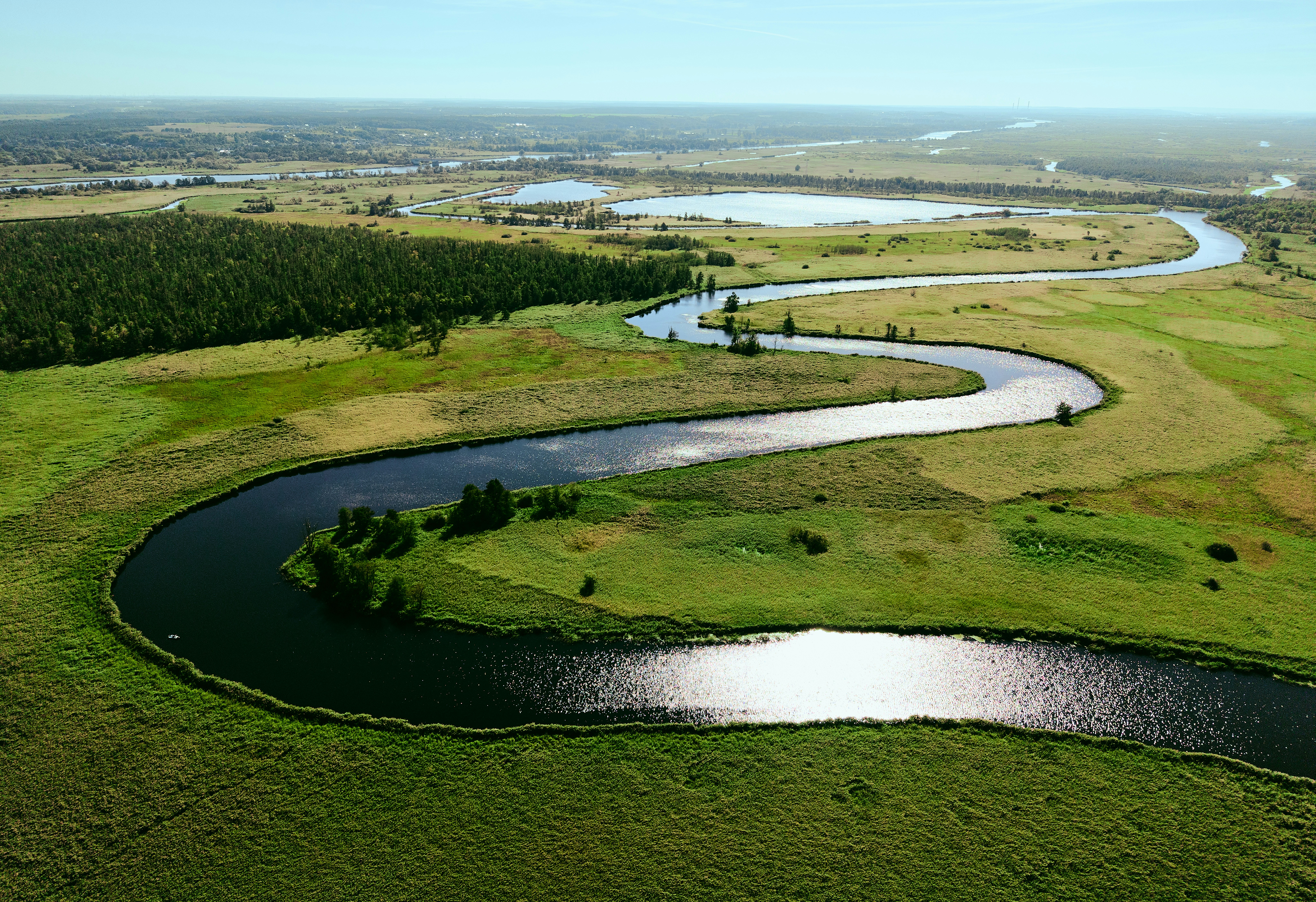 The Serpentine Flow of Nature's Canvas