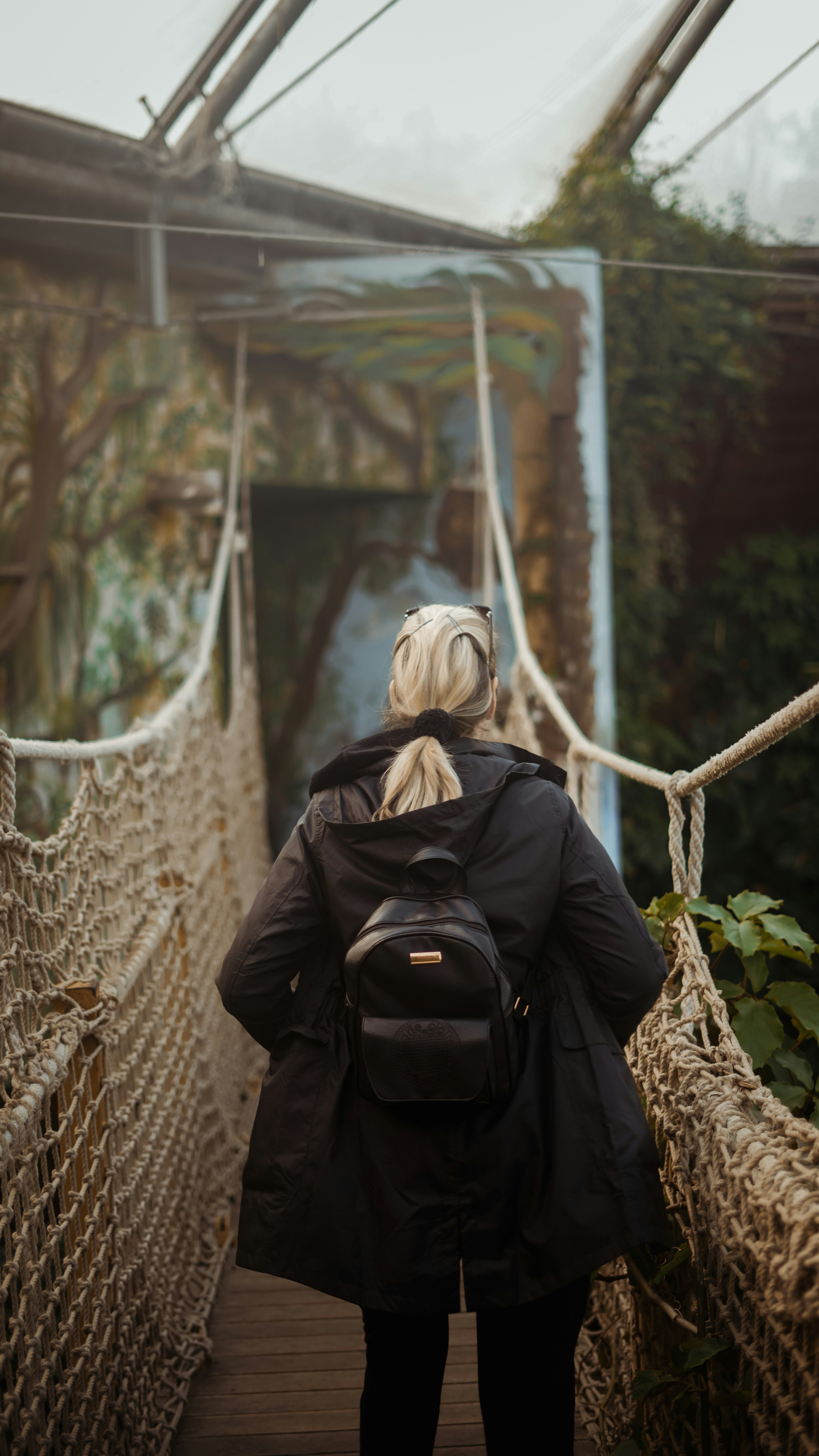 Journey Through the Misty Canopy