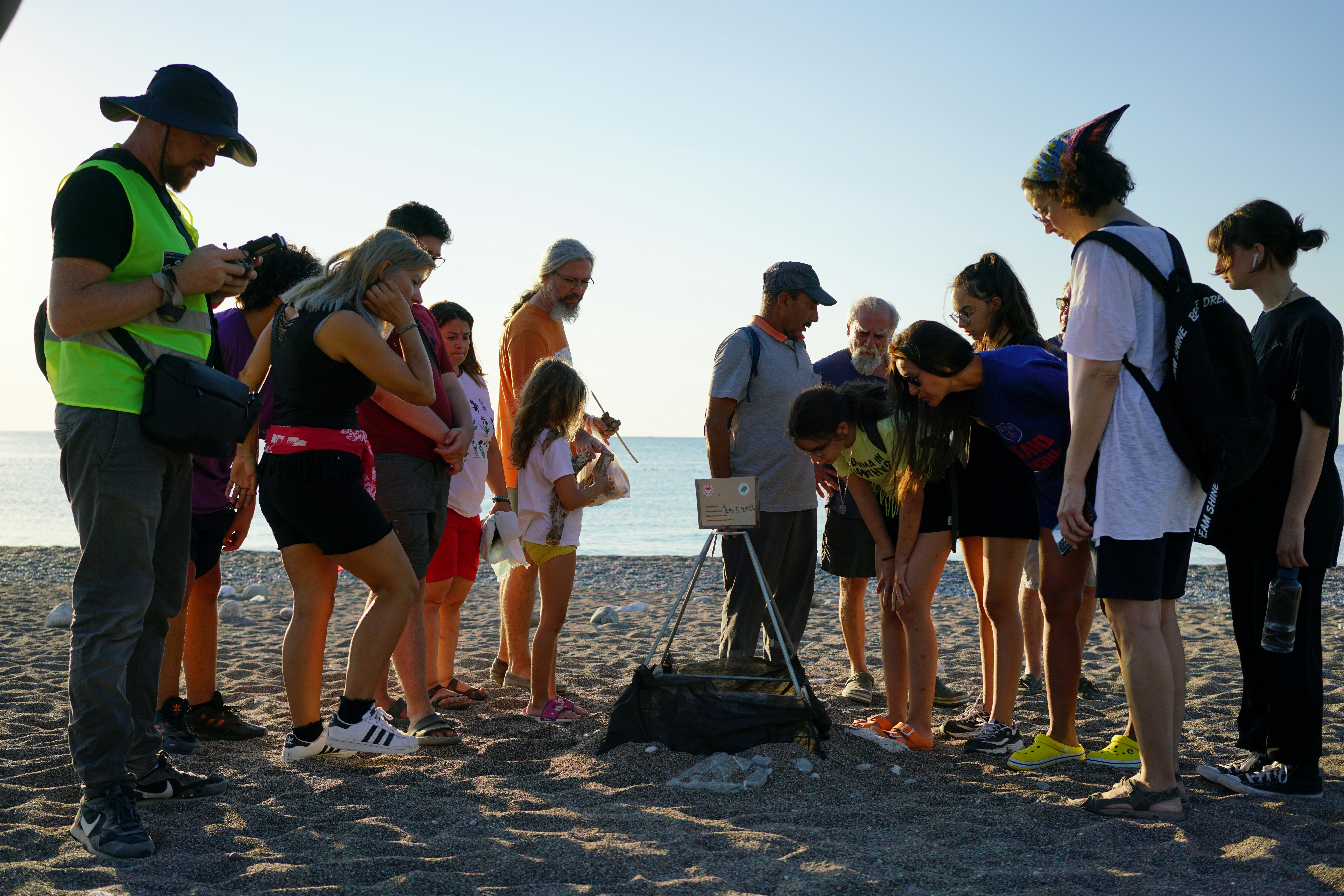 Group of people observing something on a beach. photo – Free Beach ...