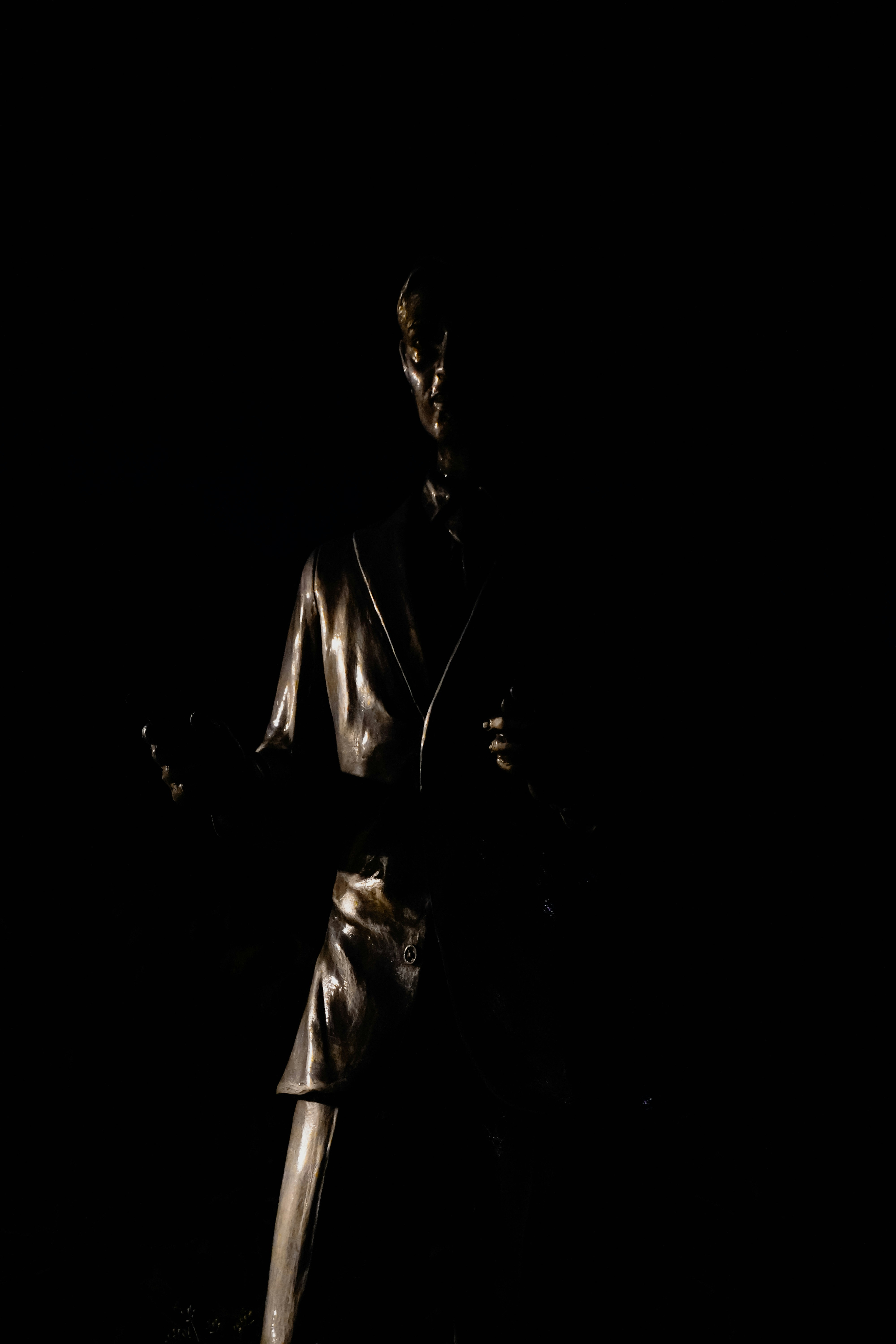 Gleaming Silhouette: Virtuoso Emerges from Darkness