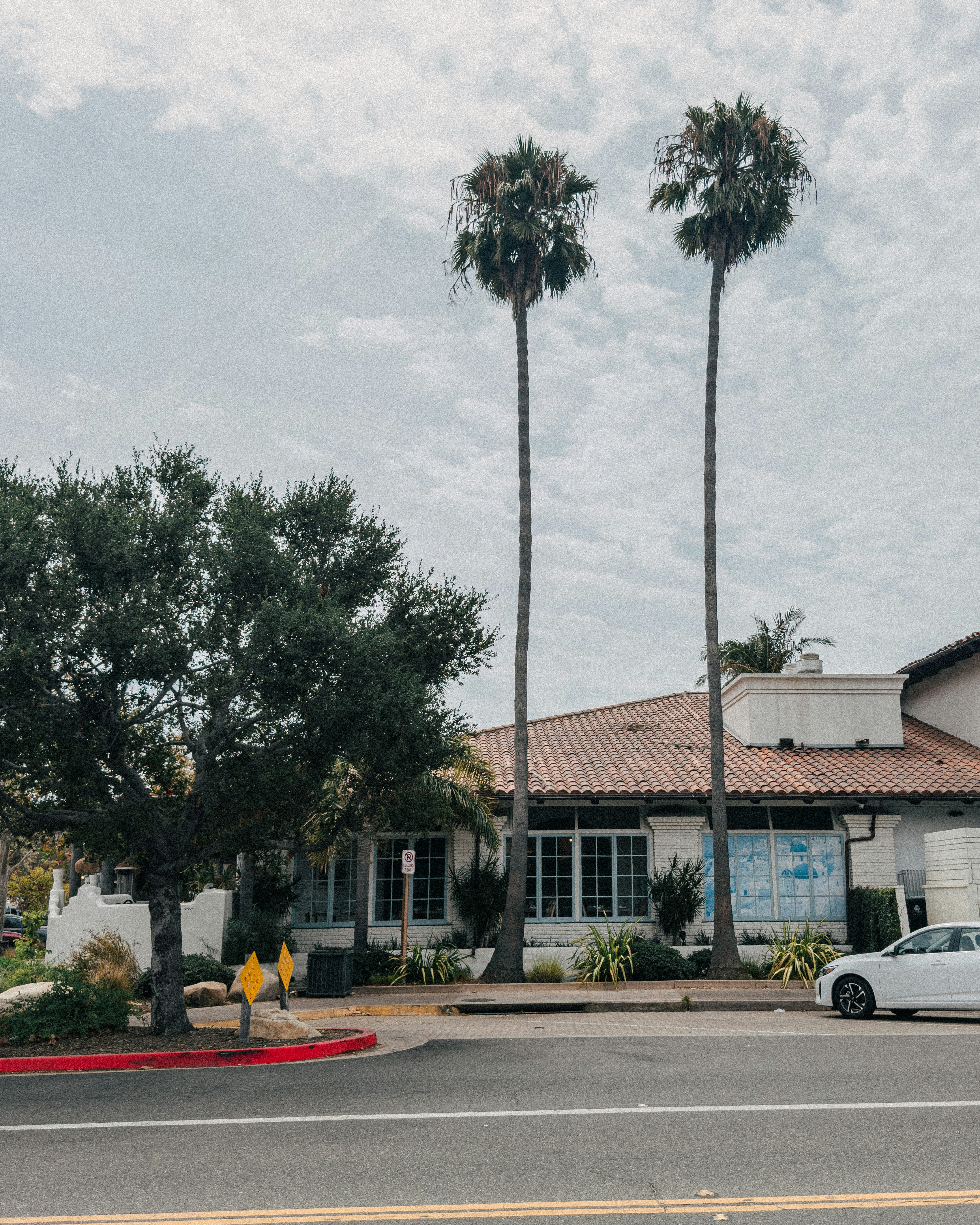 Two tall palm trees stand beside a building.