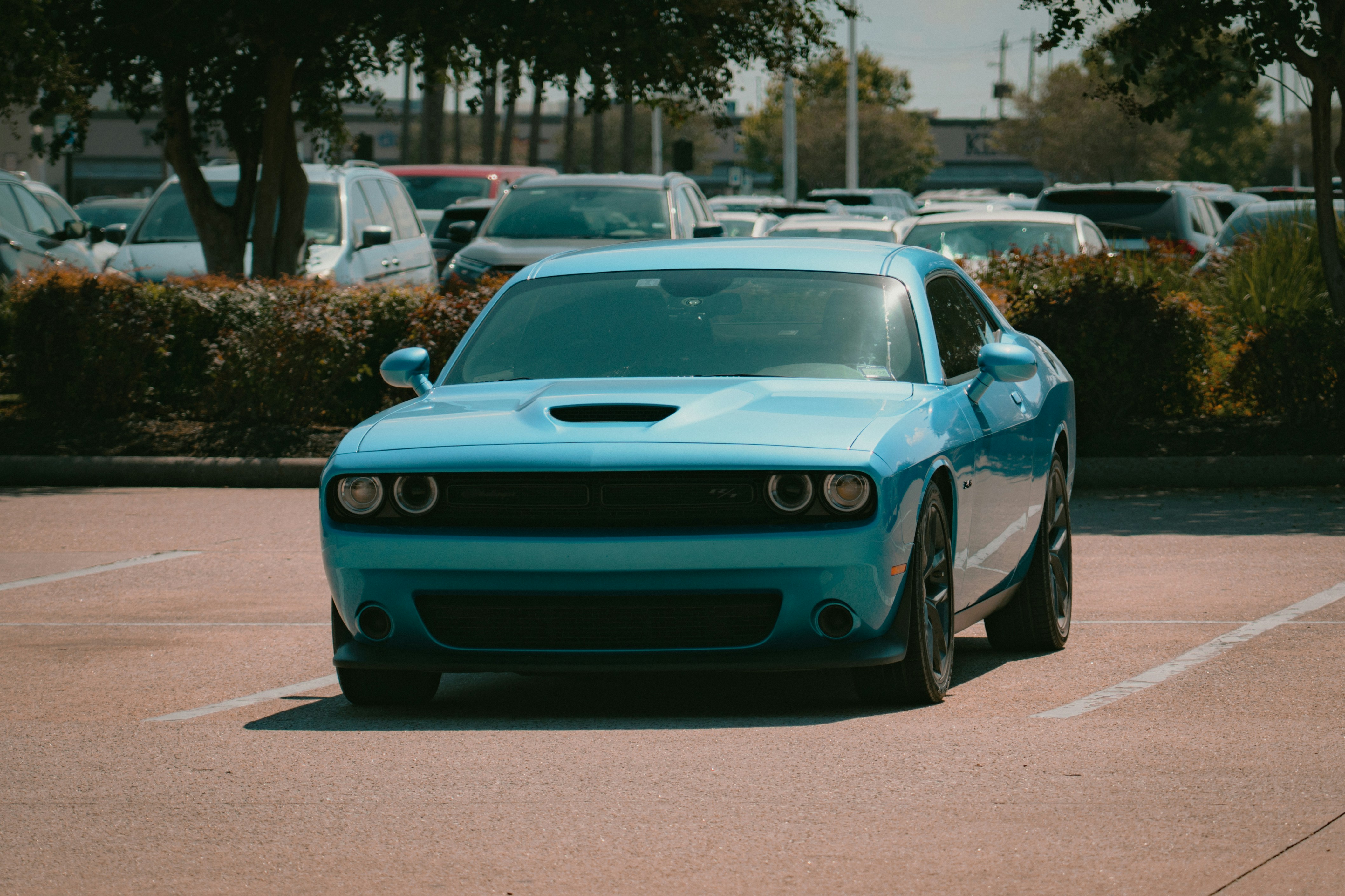 Aqua Racer: The Bold Statement of Blue on Asphalt