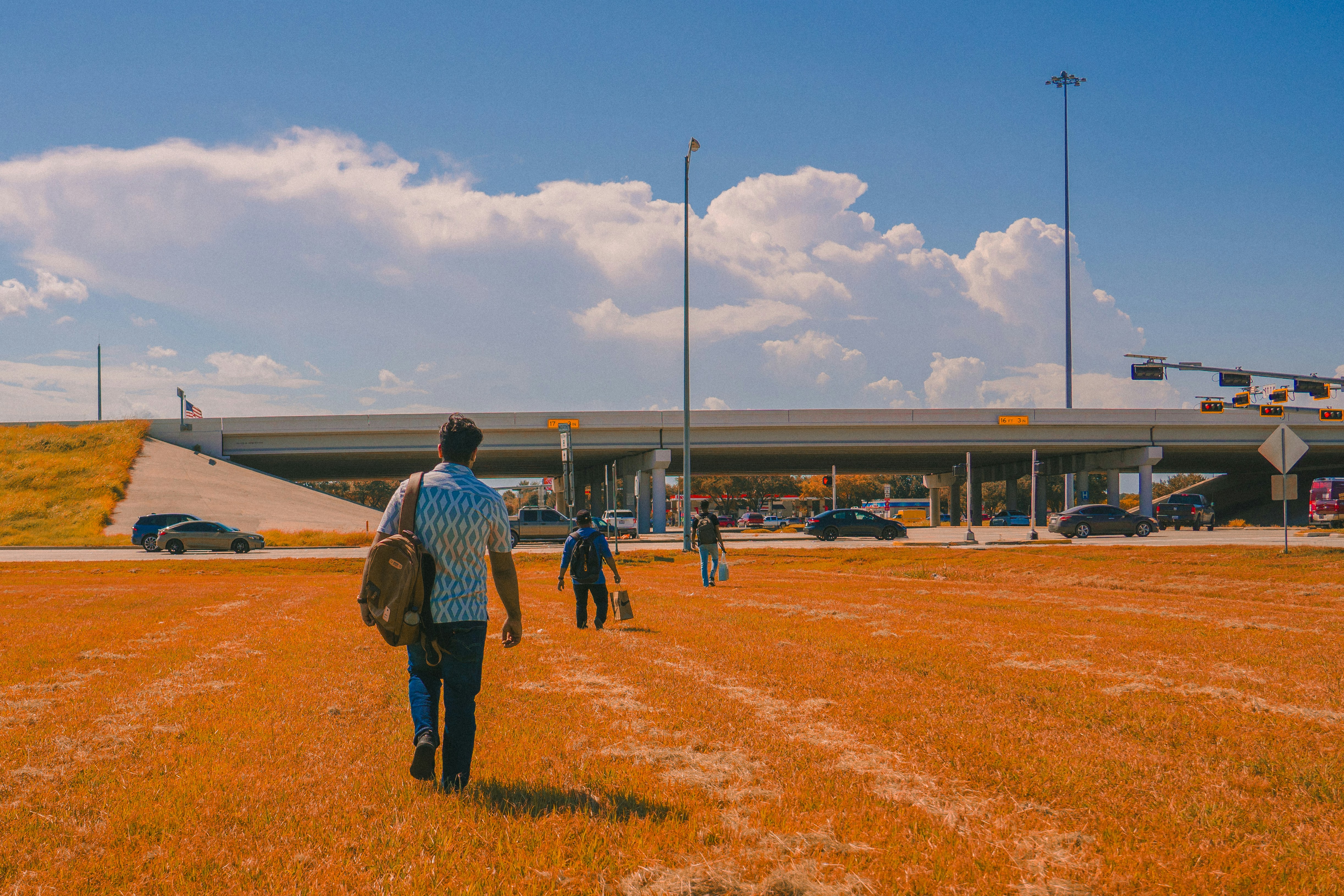 Journey Through the Golden Field