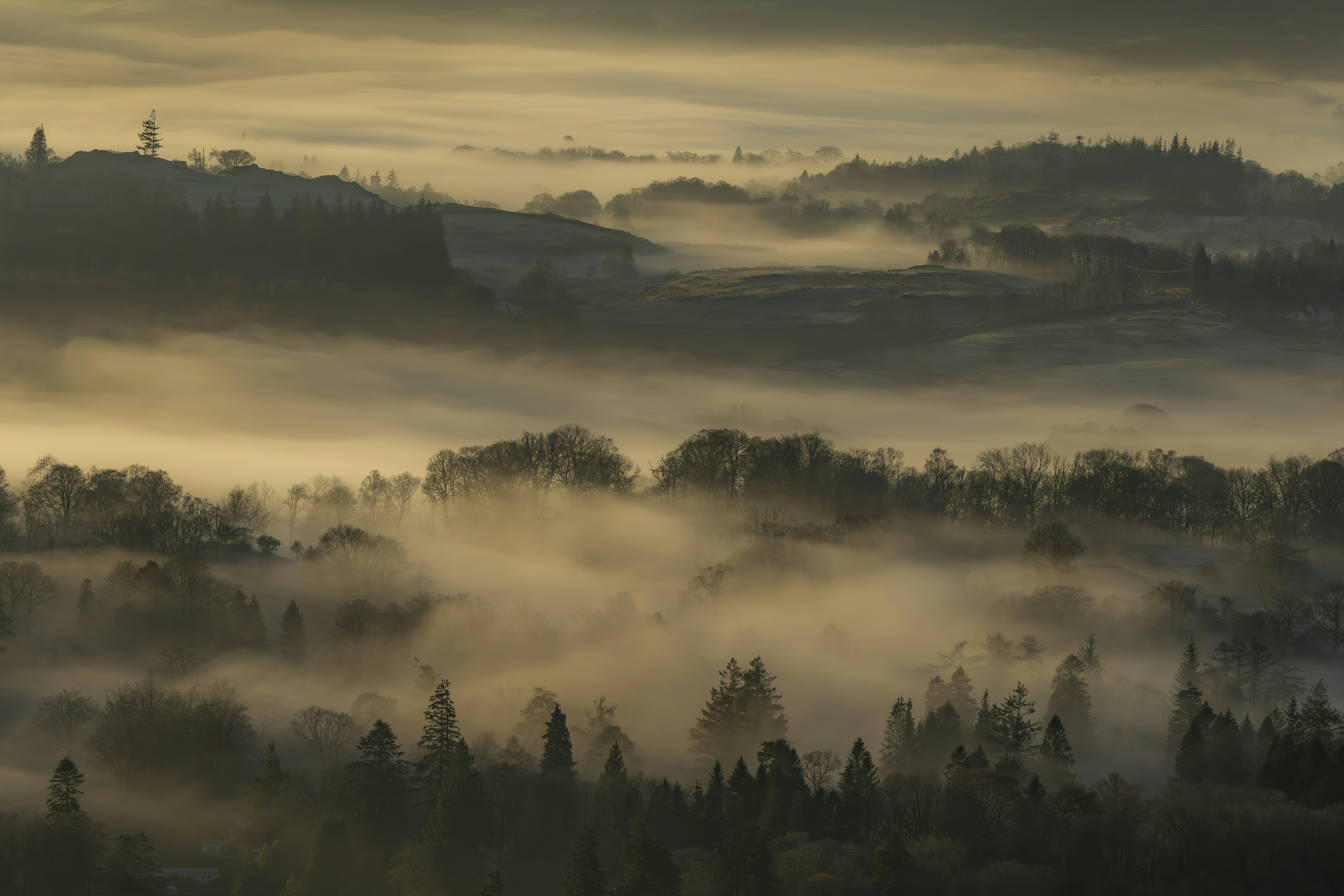 Misty forest landscape at sunrise with rolling hills.