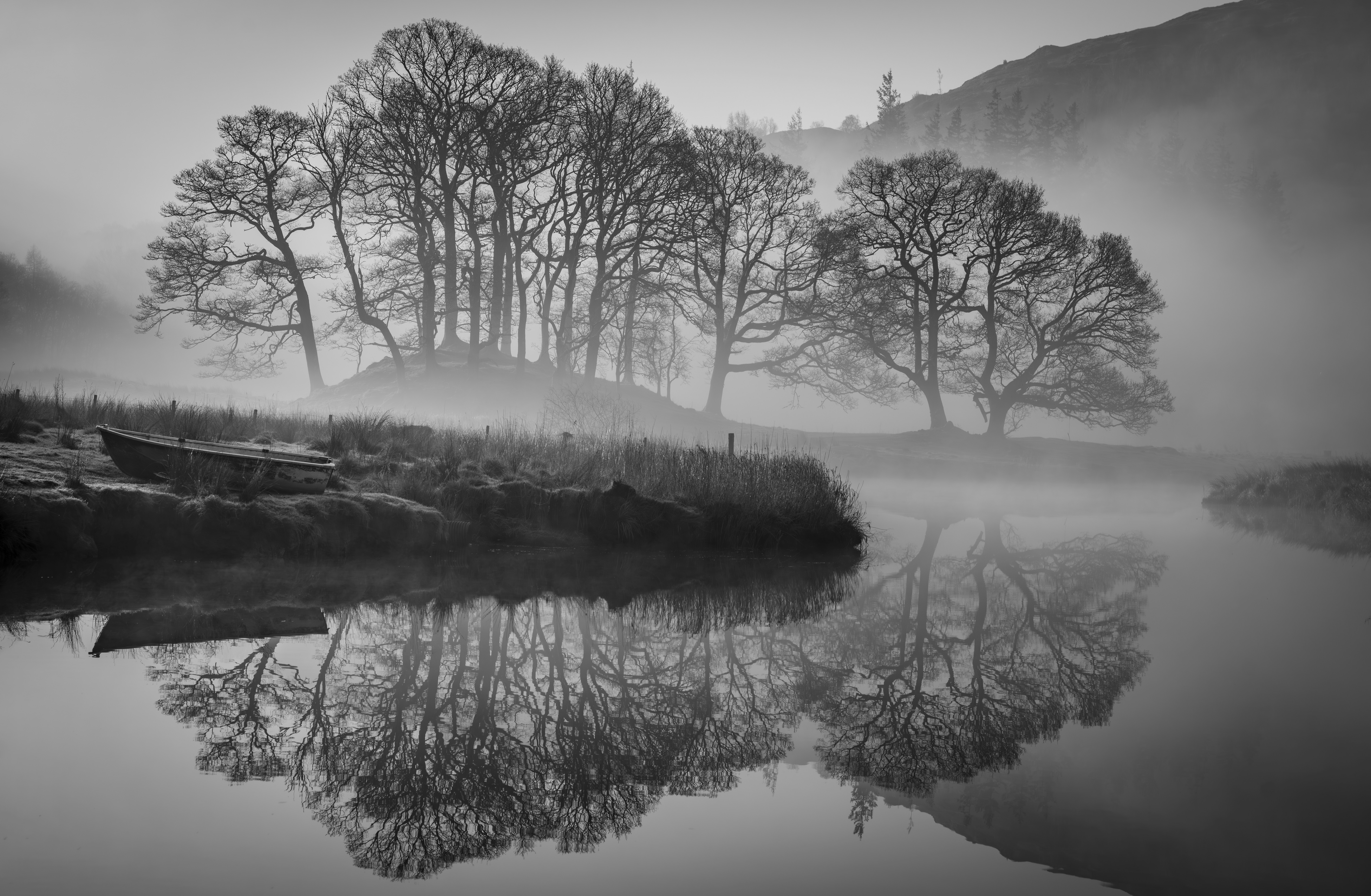 Misty trees reflected in calm water at sunrise.