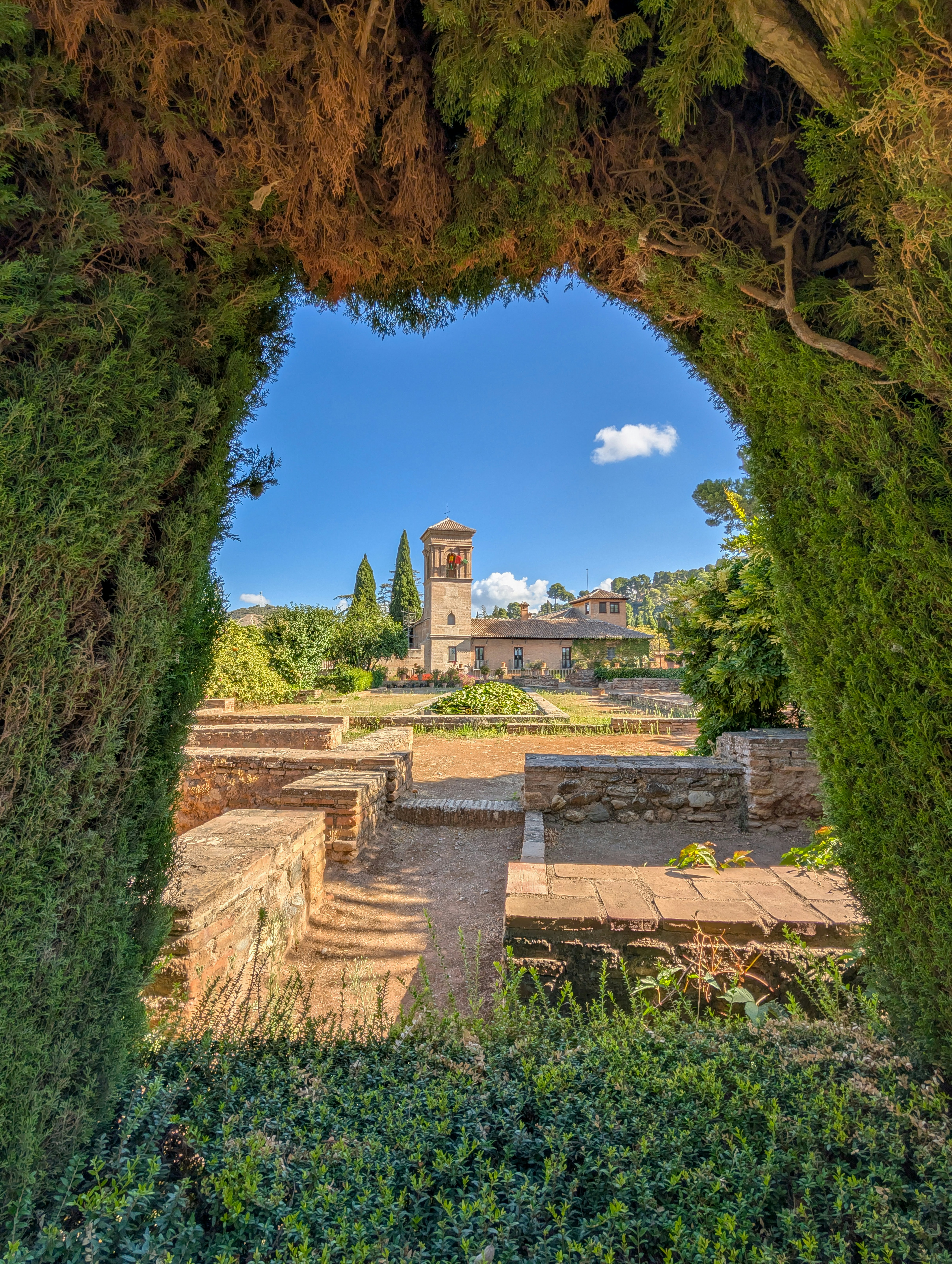 Through a Verdant Frame: A Sunlit Italian Garden Revealing a Brick Bell Tower