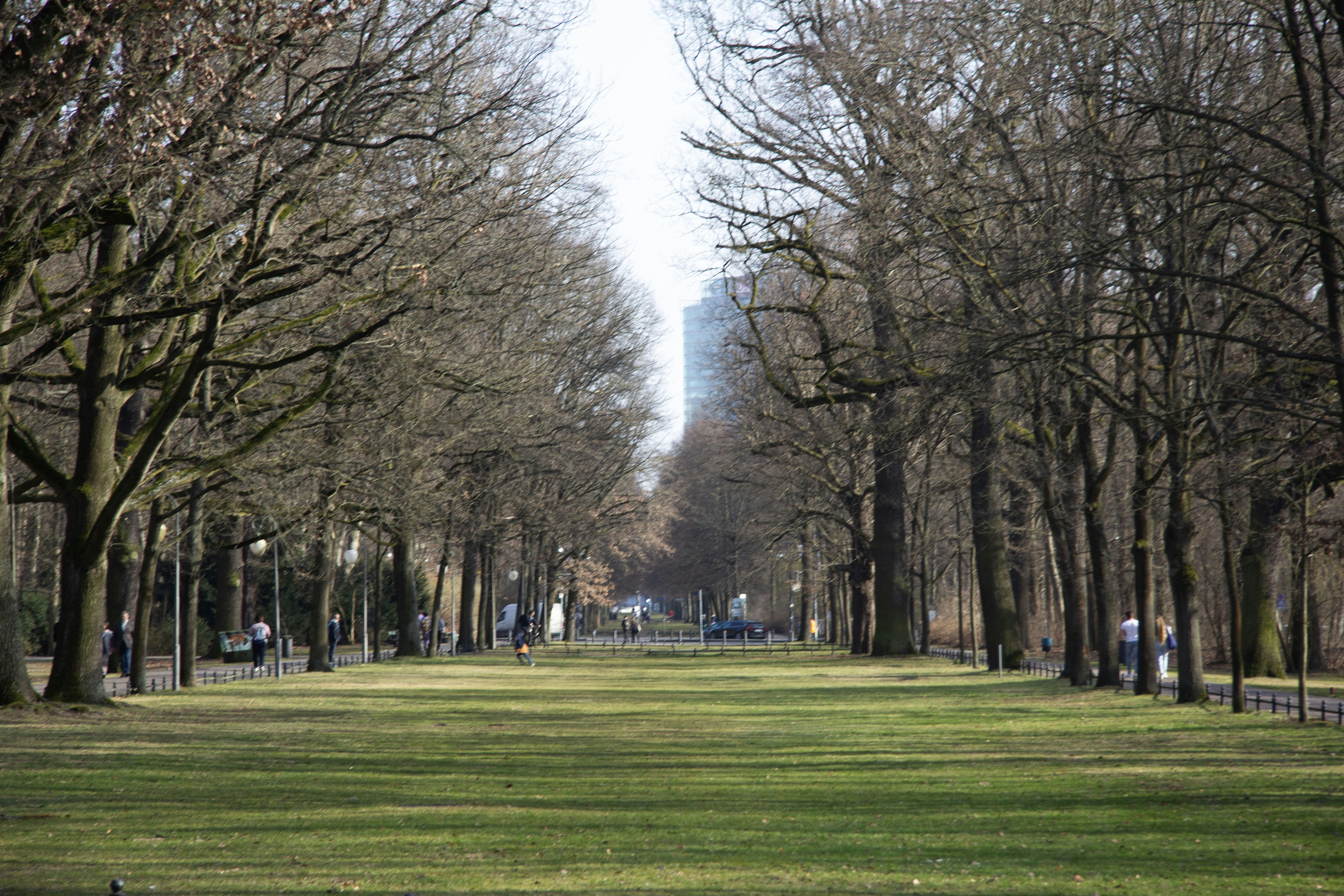 Whispers of Winter: A Pathway Through TimeRenato Galisteu