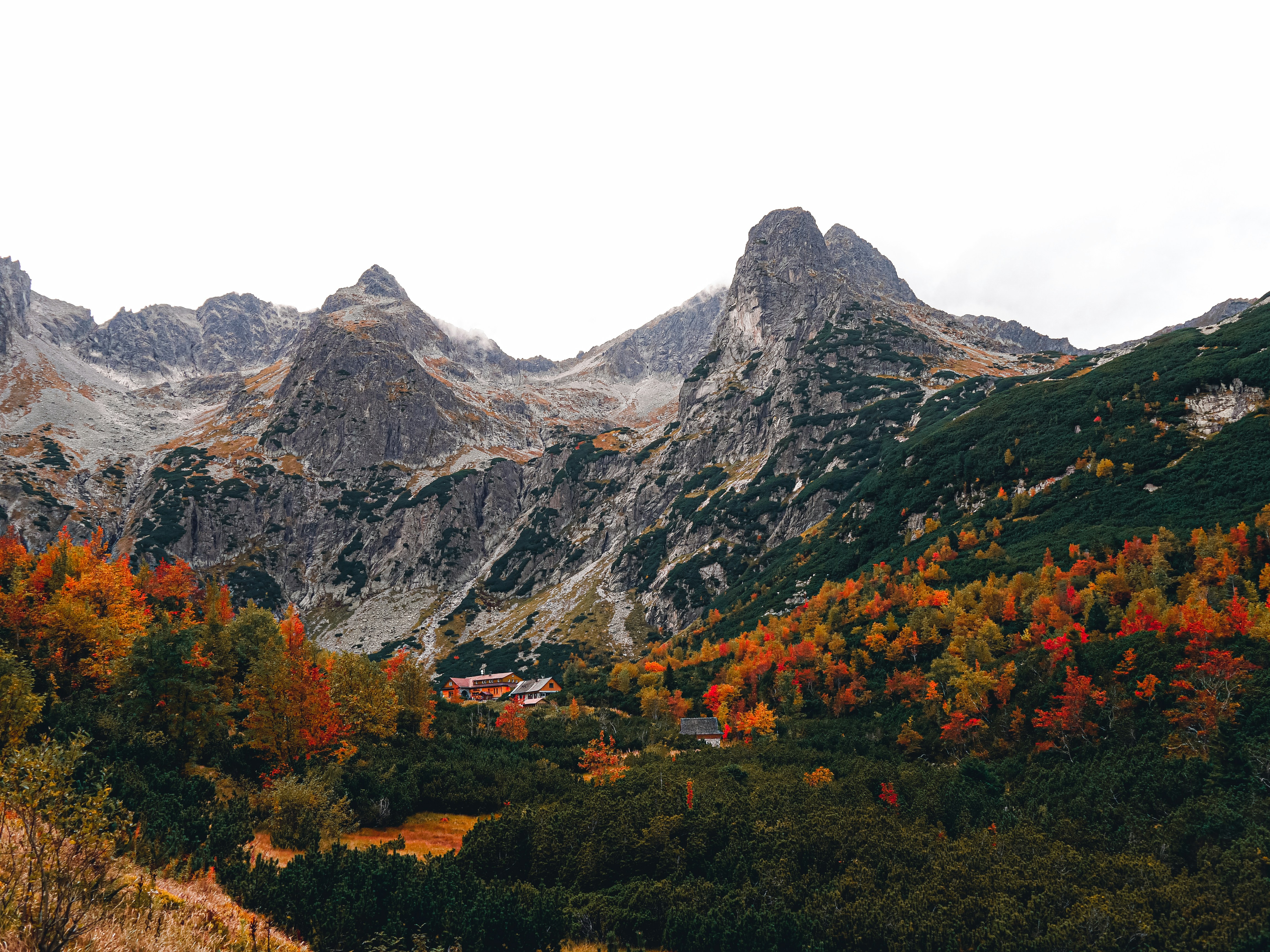 Vibrant autumn foliage blankets the valley floor as majestic peaks loom overhead, showcasing the seasonal transformation of the landscape.
