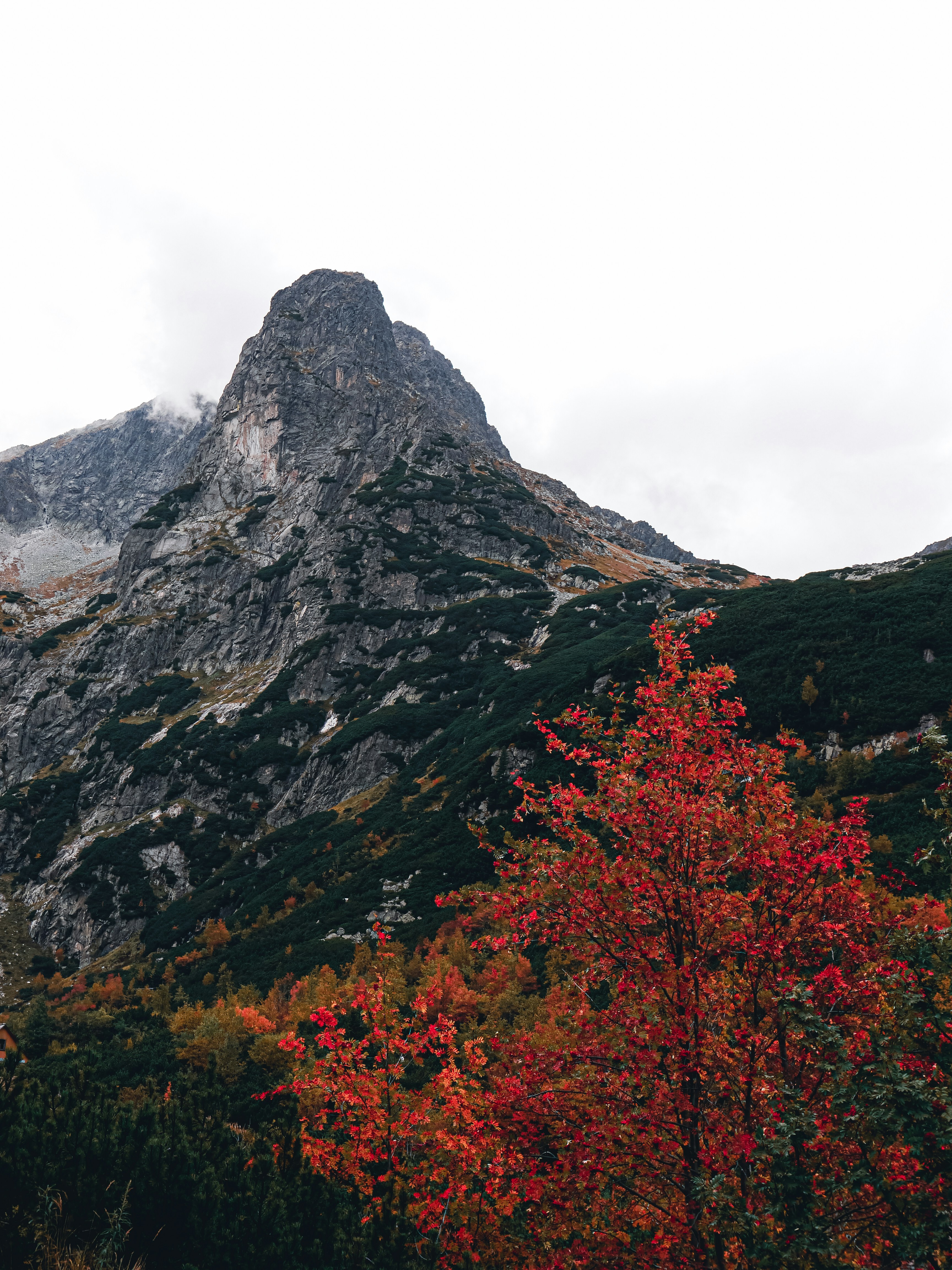 Jagged mountain peak with autumn foliage in foreground