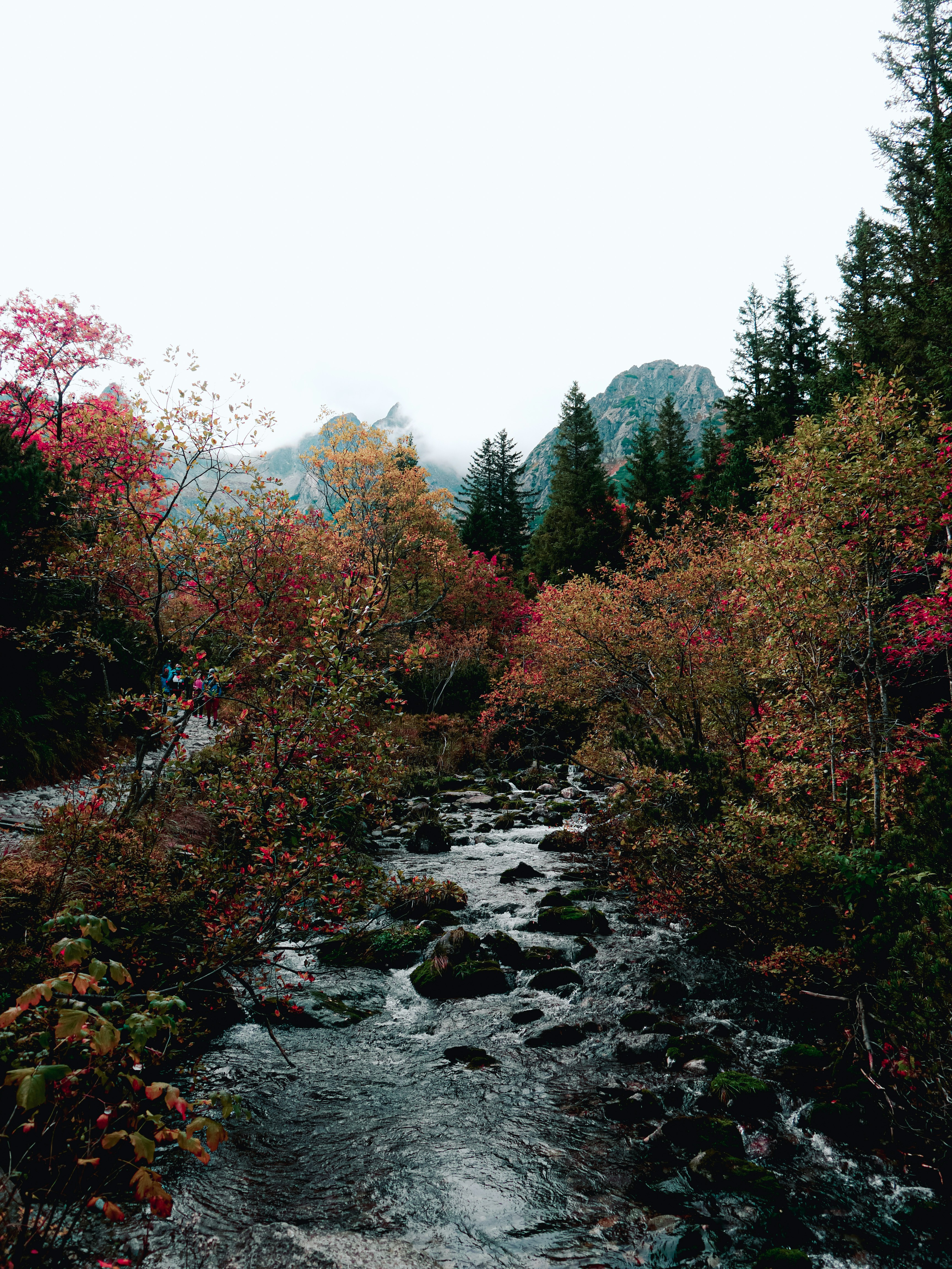 Crimson Canopies Over a Rocky River in Autumn Mountain Light