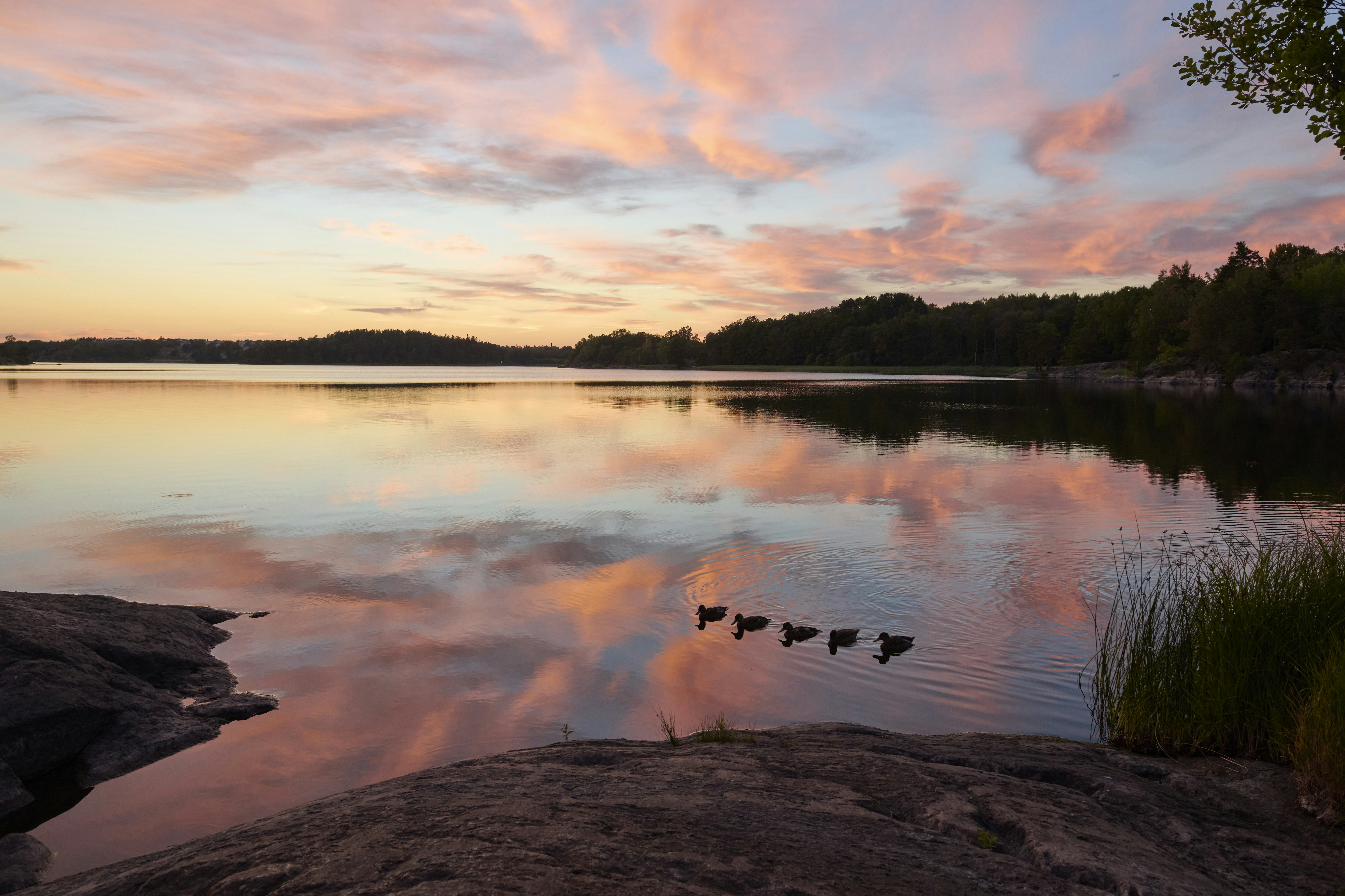 Serenity at Dusk: A Quiet Evening by the Water