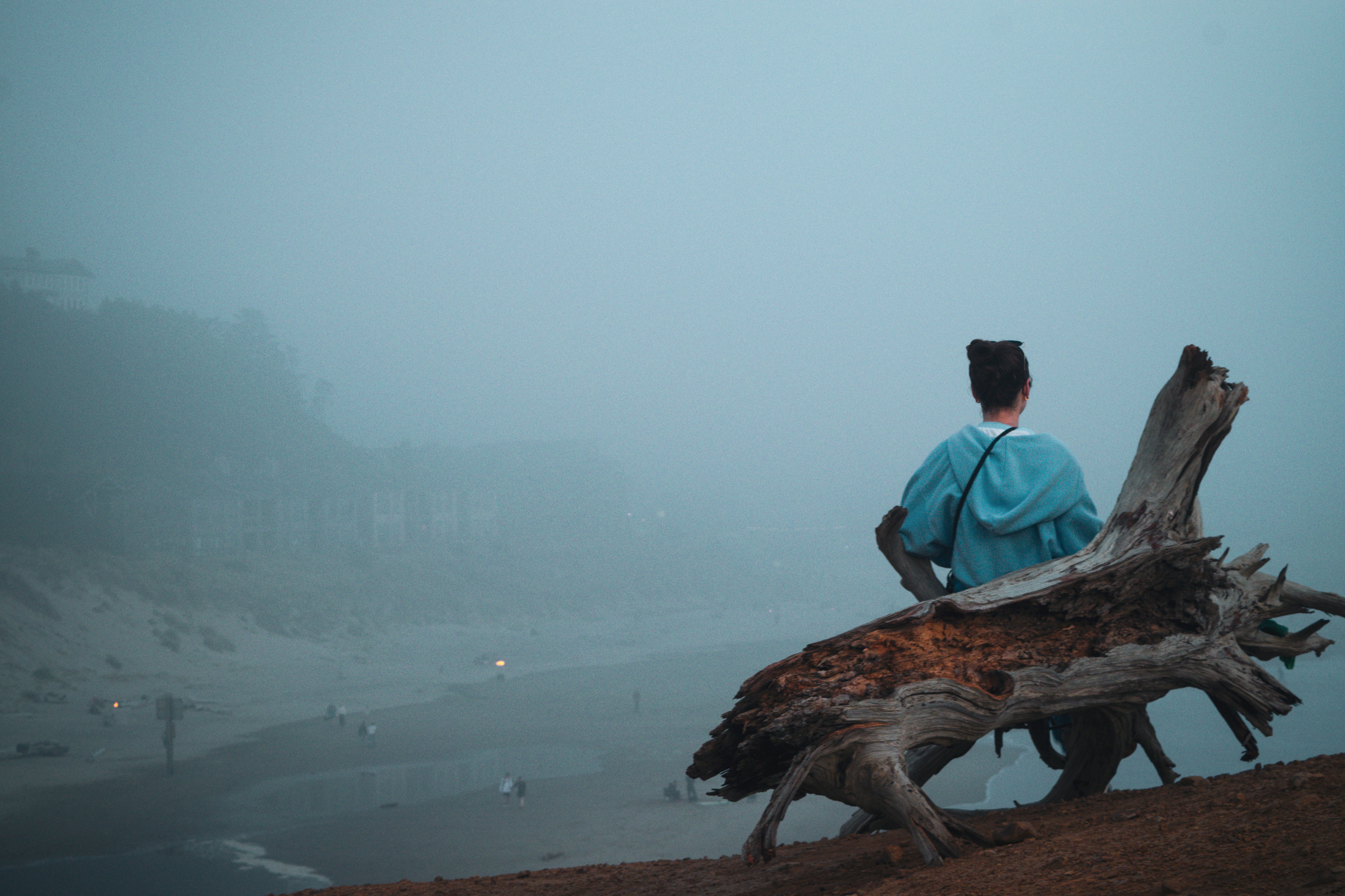 Whispers of the Misty Shoreline