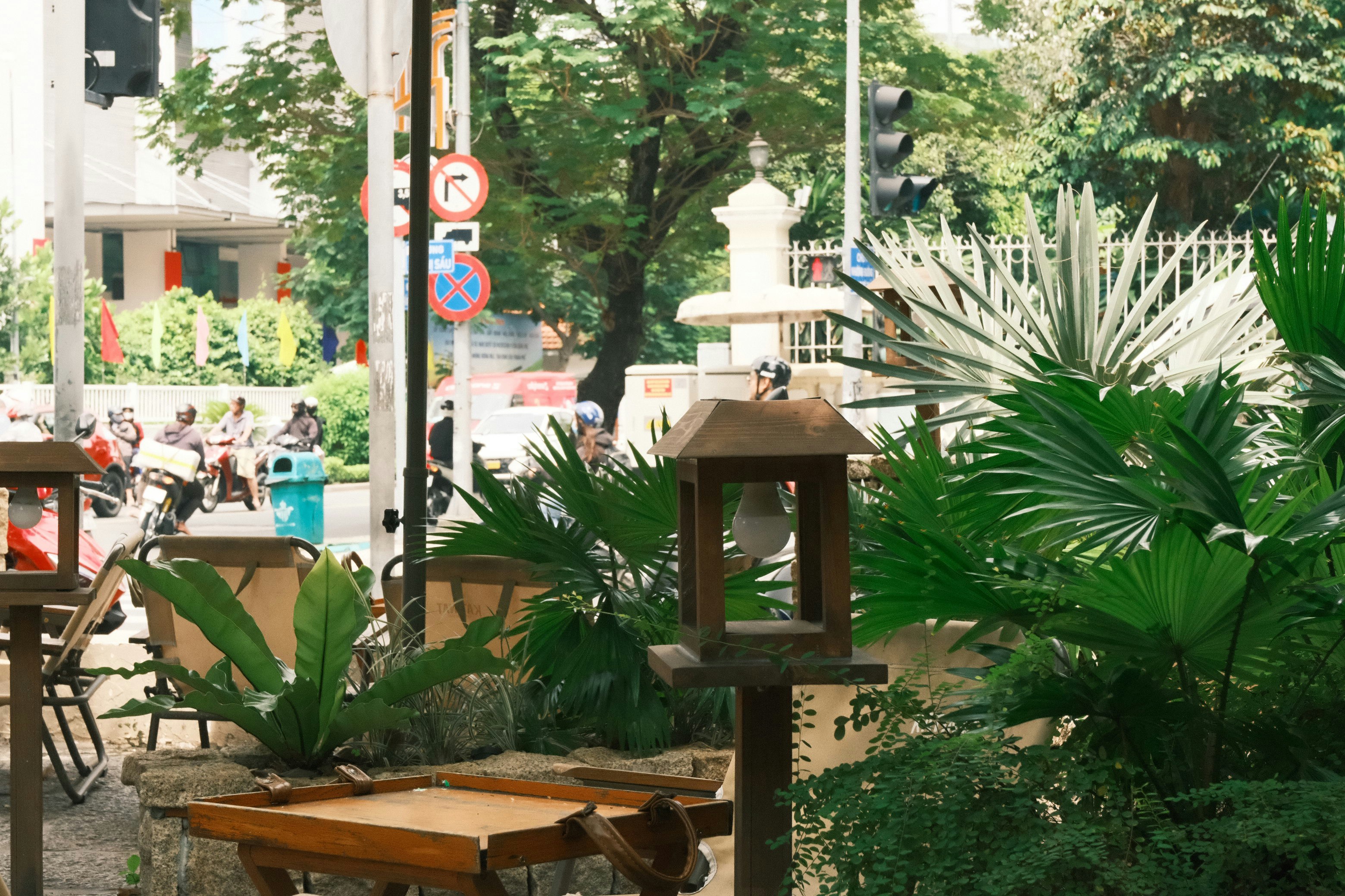 Urban Oasis: Nature Meets City Life