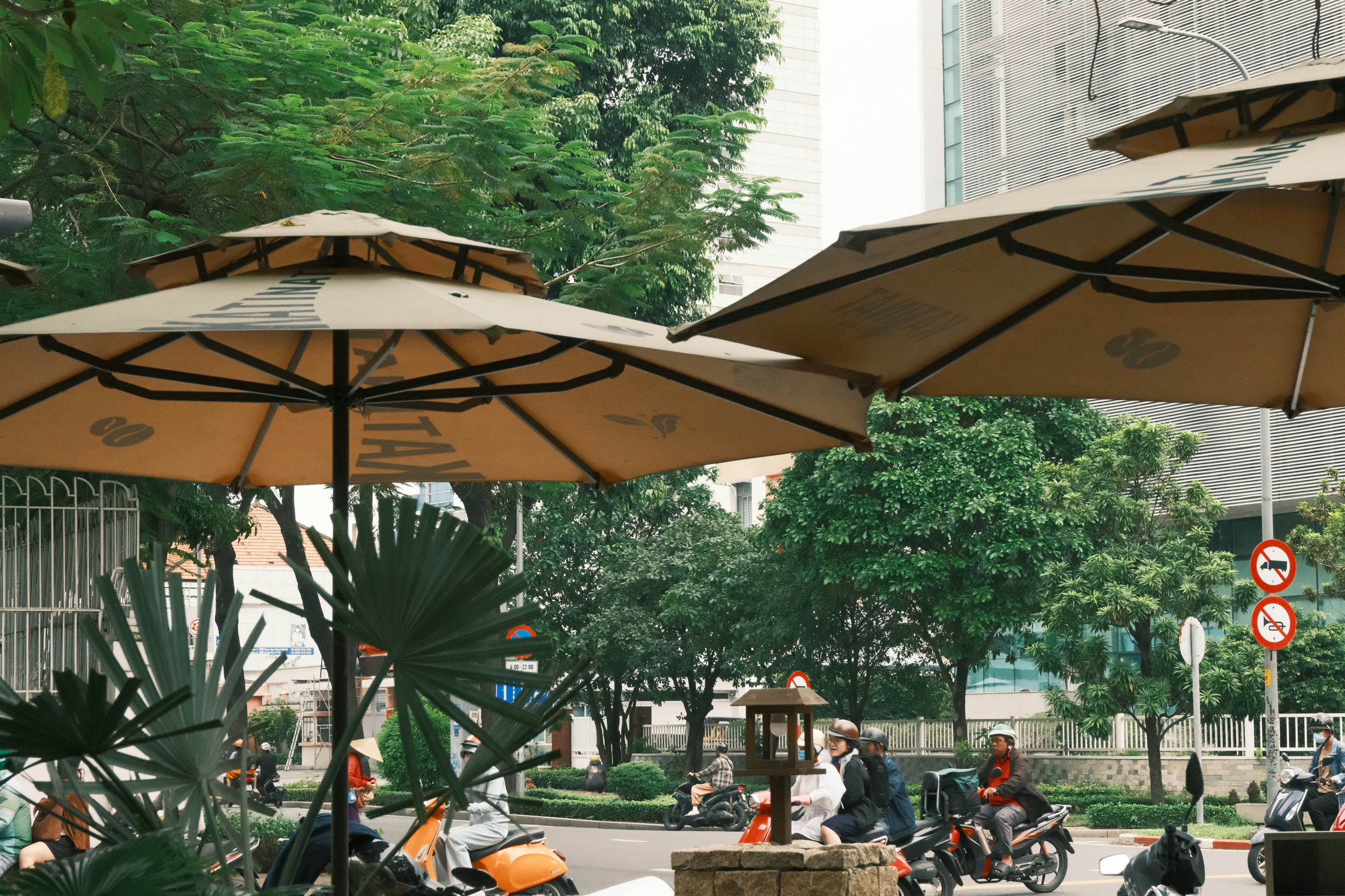 Urban Oasis: A Moment Under the Canopy