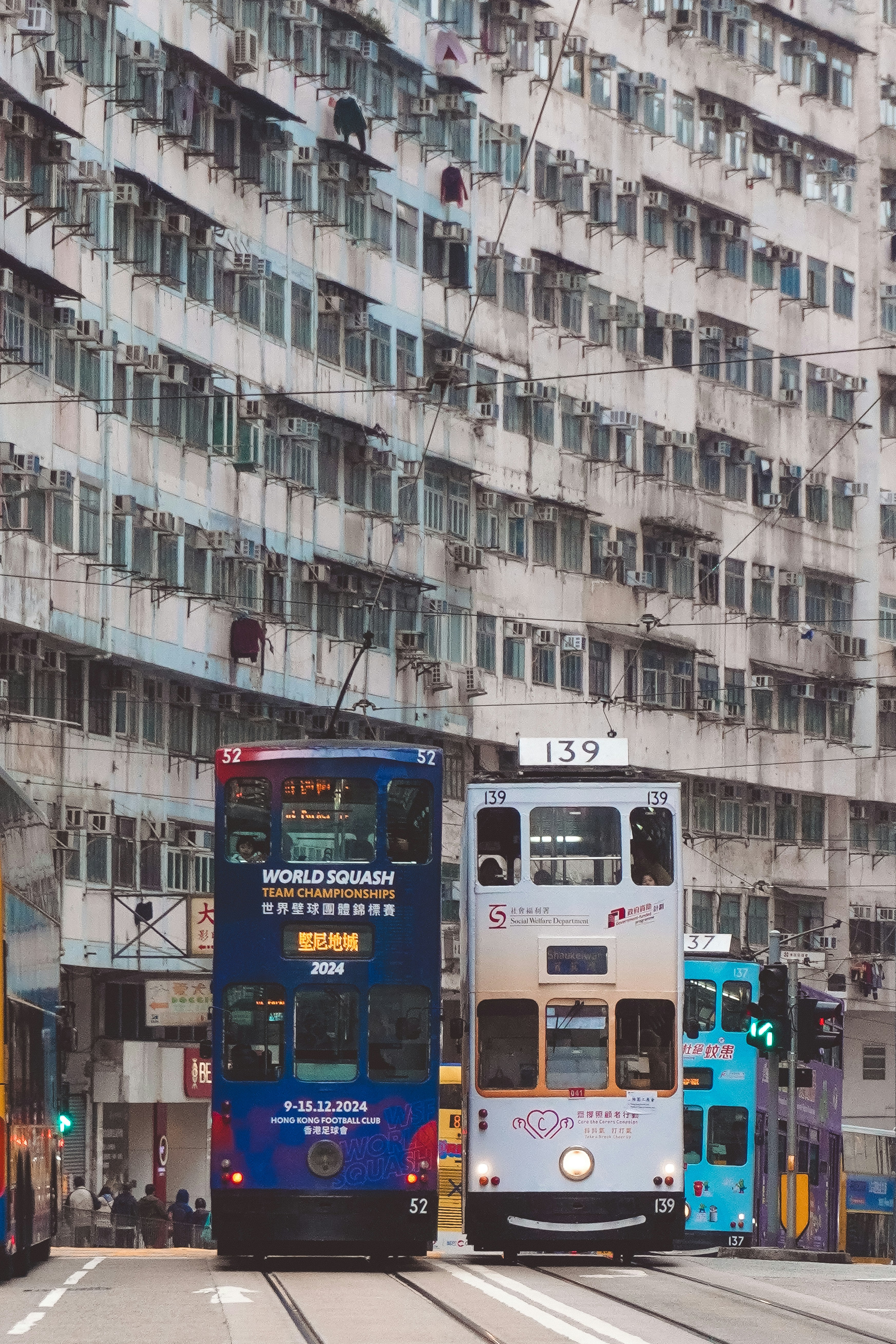 Two trams pass each other in a city street. photo – Free Travel Image ...