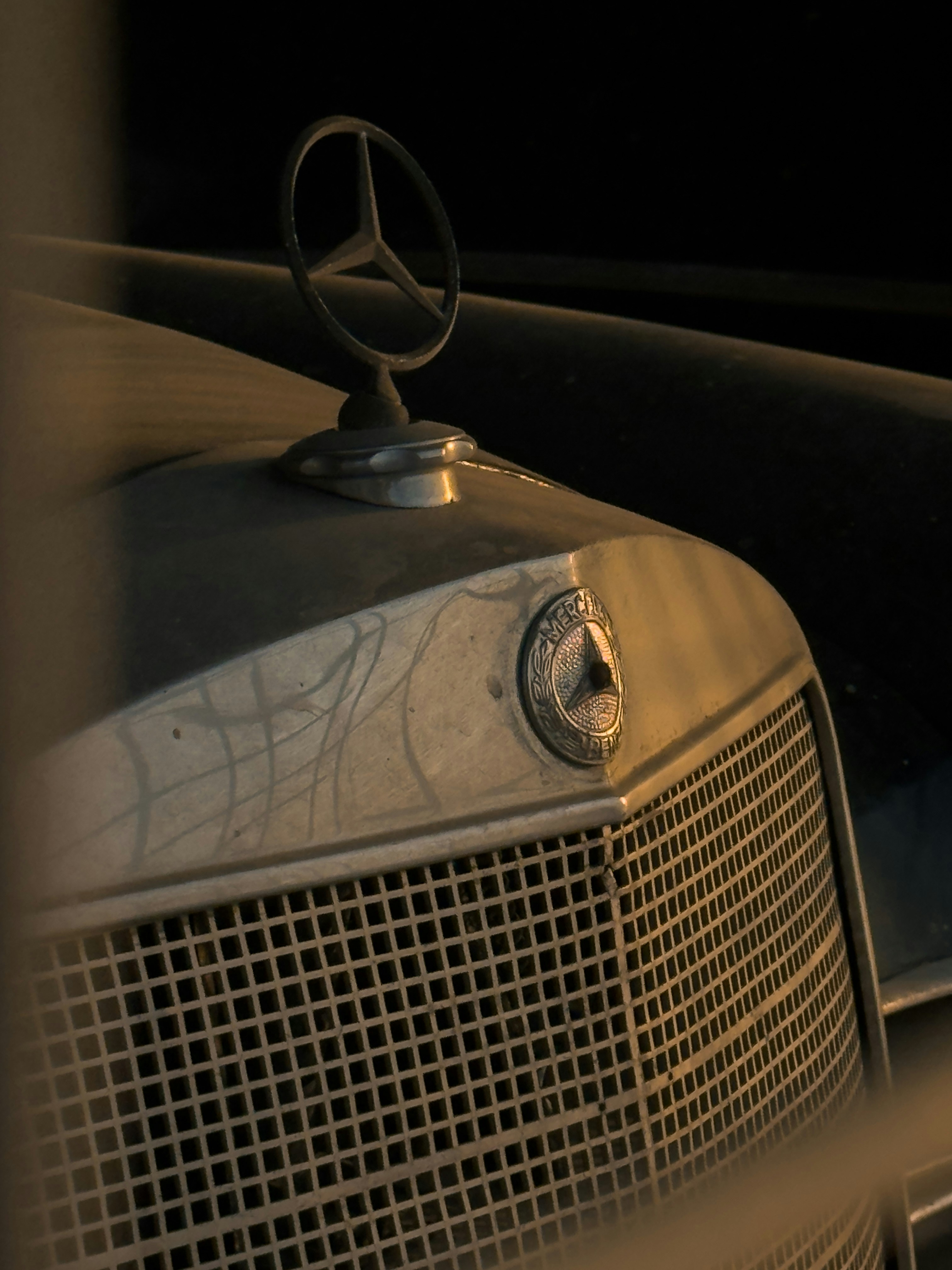 Whispers of Automotive Elegance
