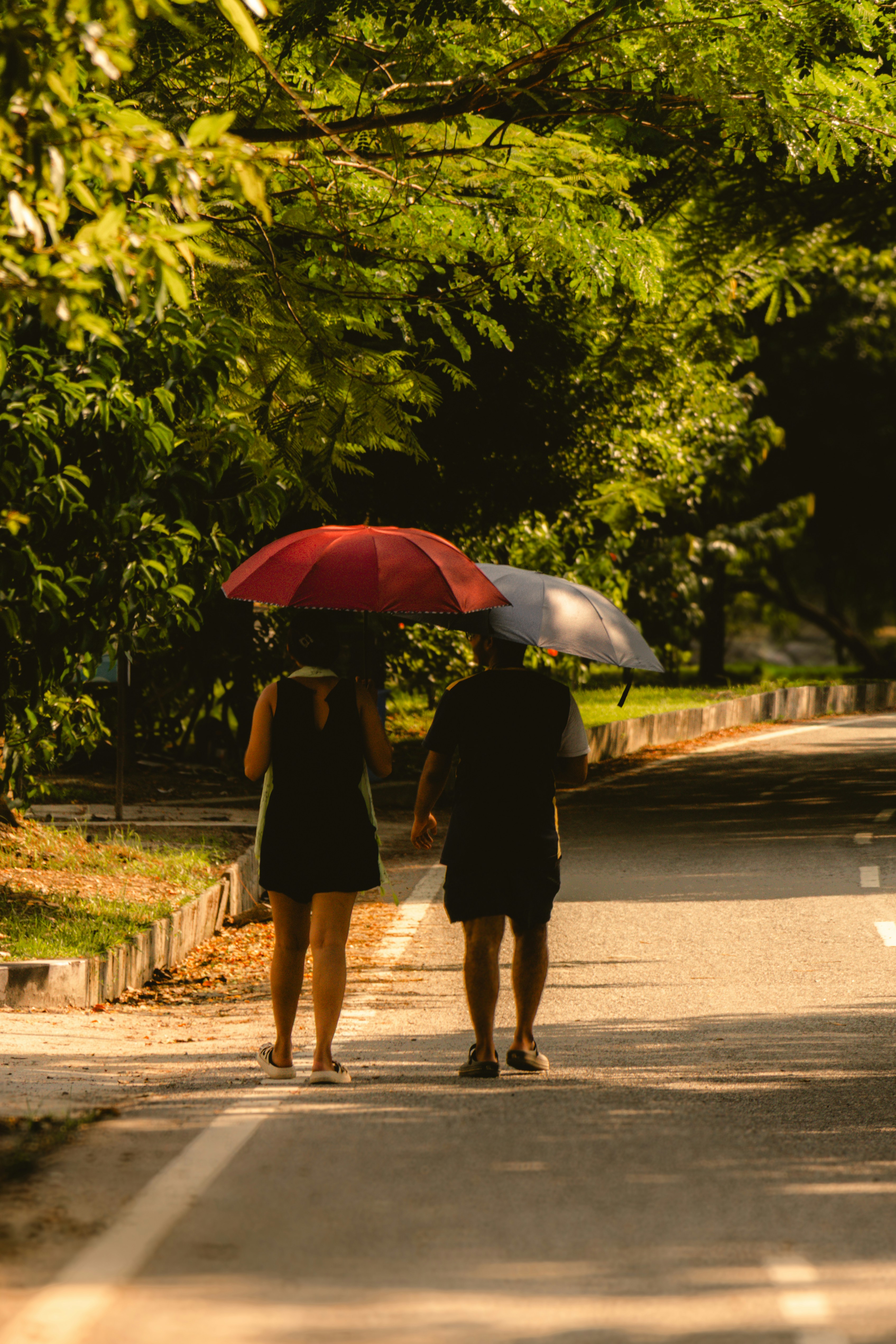 Two people walk with umbrellas on a sunny day.
