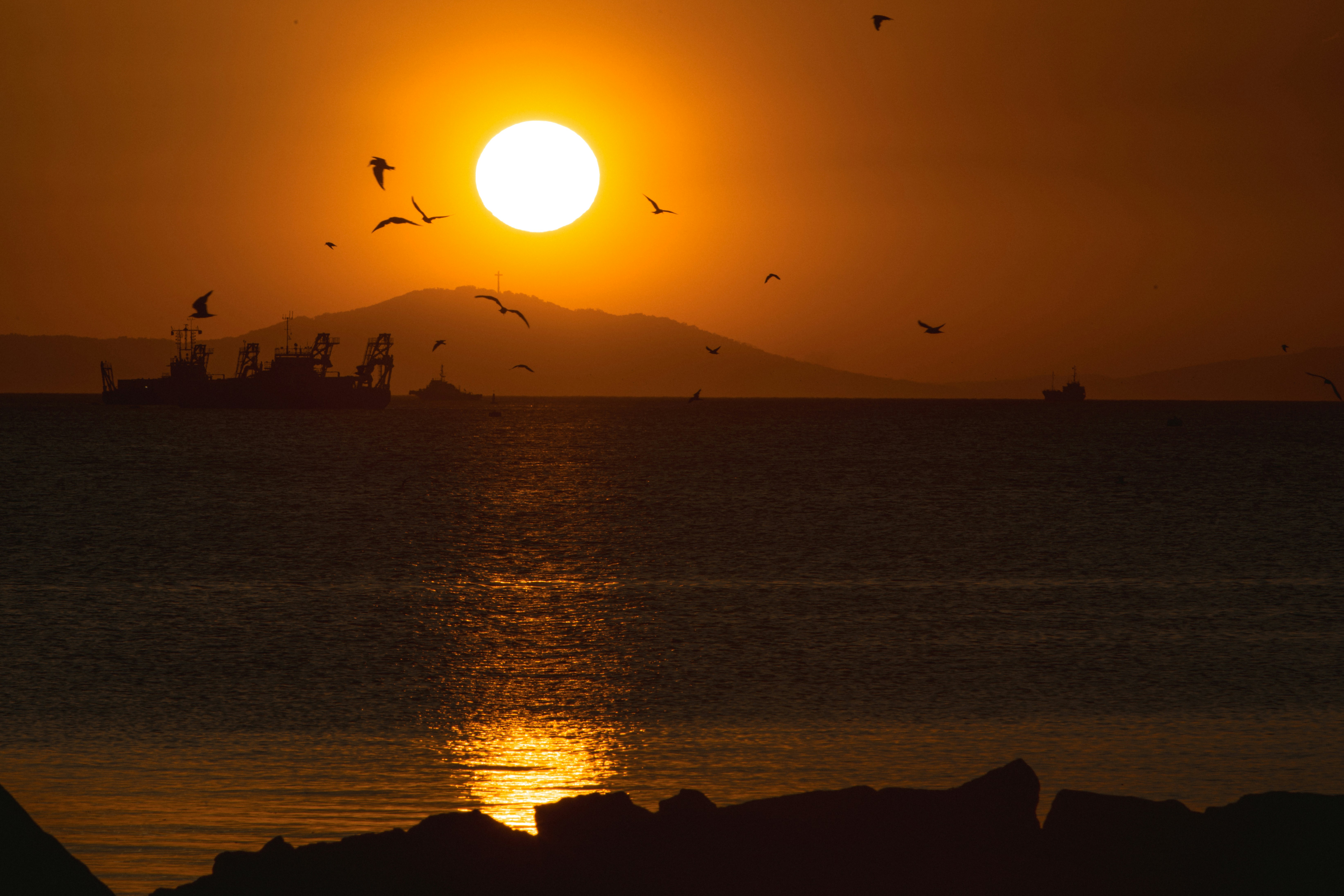 Sunset over the ocean with birds flying.
